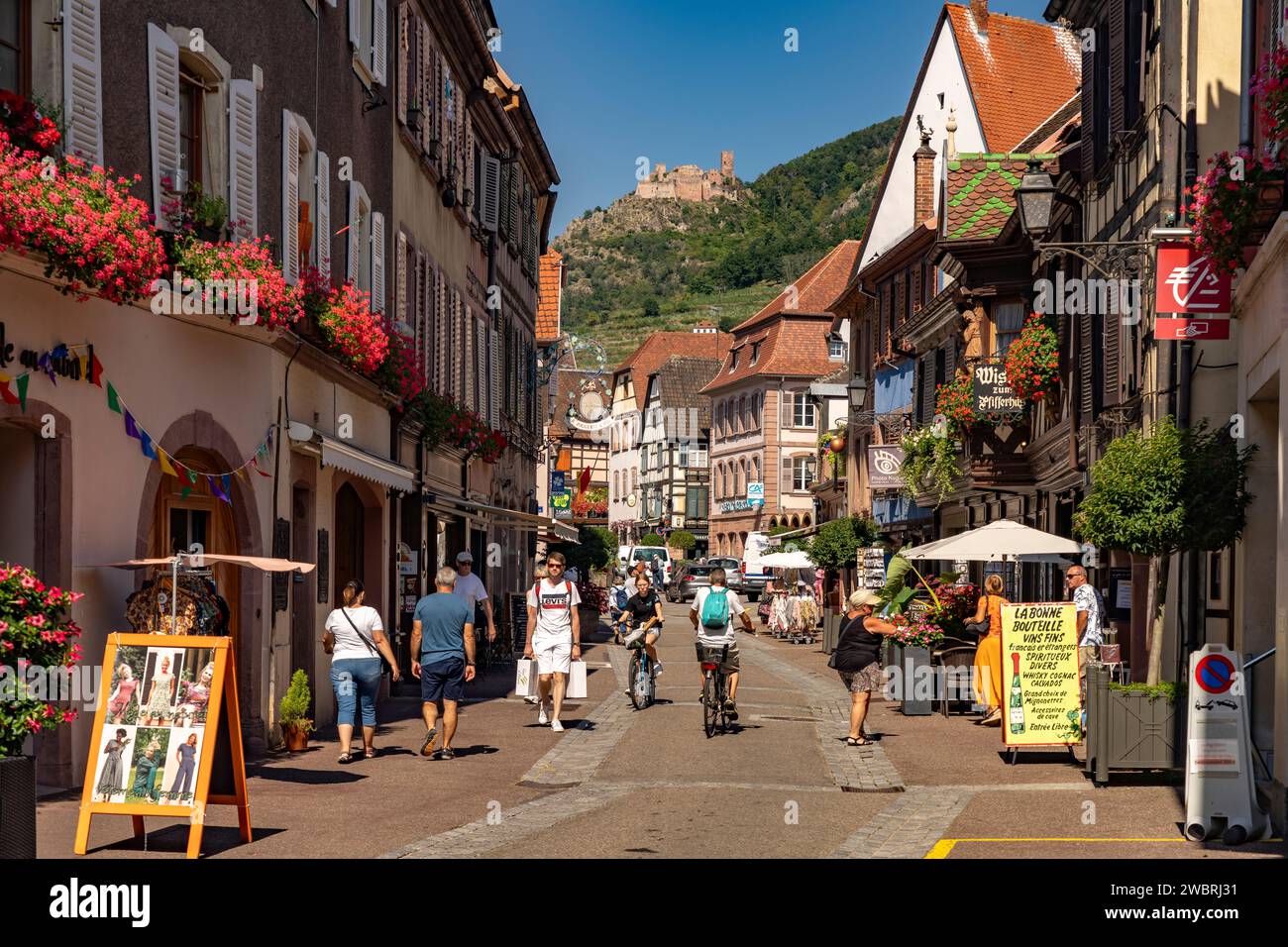 Altstadt und Burgruine in Ribeauville, Elsass, Frankreich | Old town and castle ruins in ...
