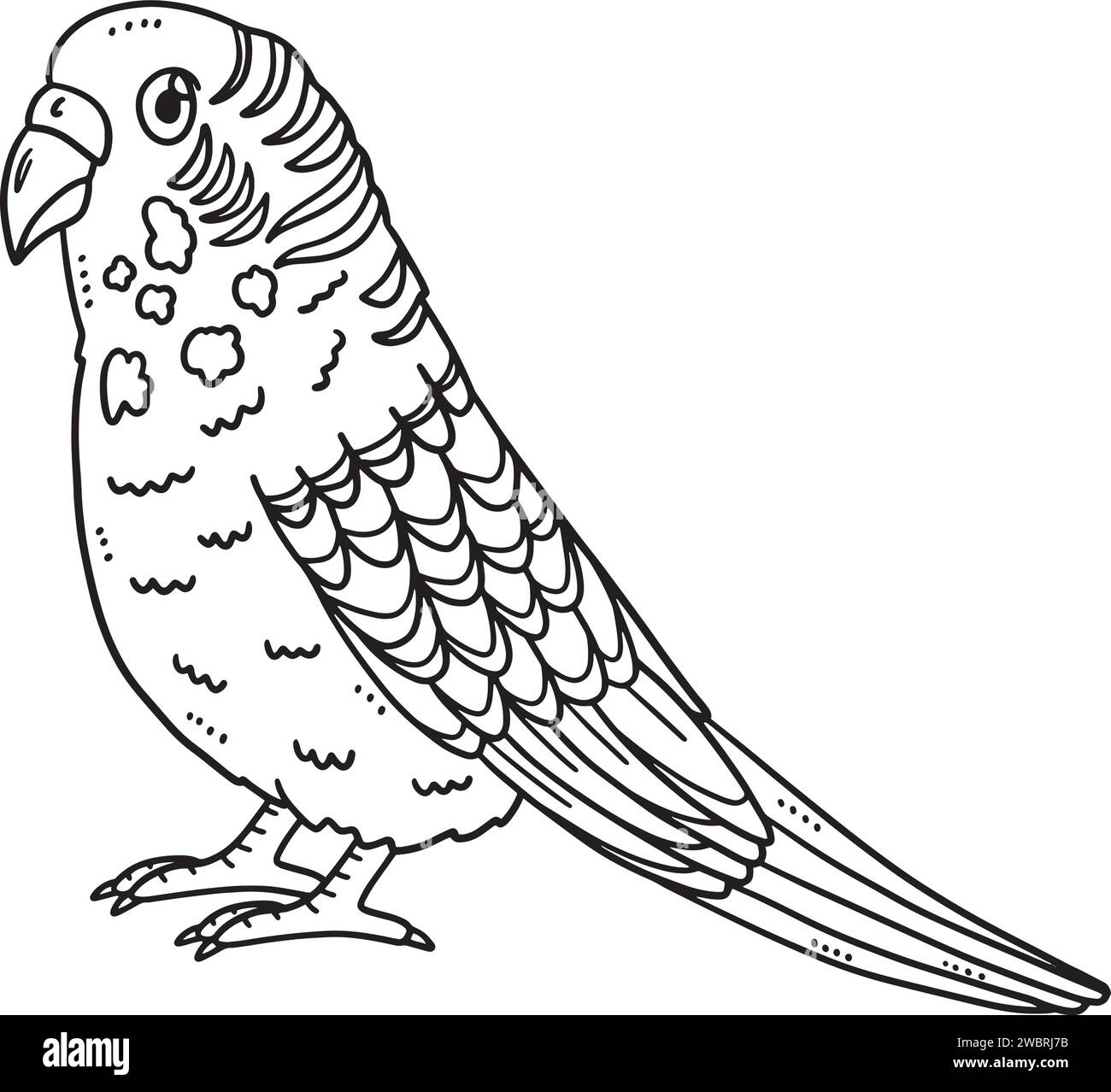 Parakeet Bird Isolated Coloring Page for Kids Stock Vector Image & Art ...