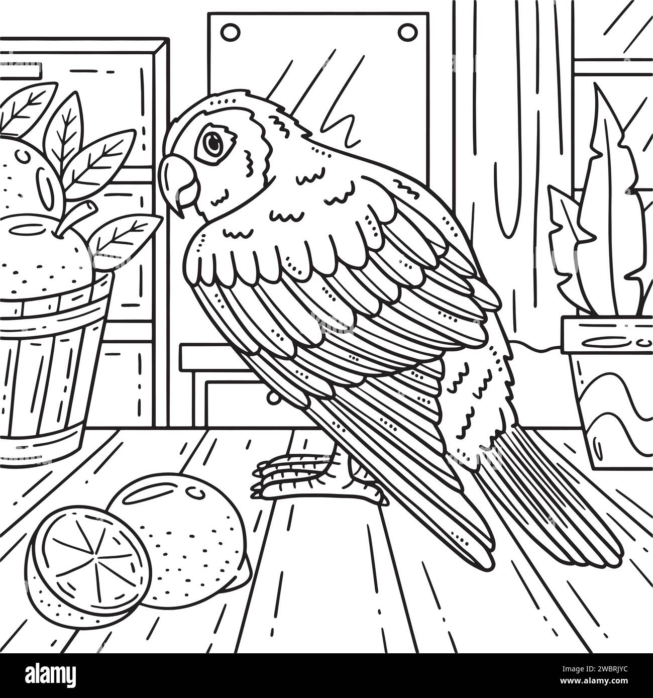 Conure Bird Coloring Page for Kids Stock Vector Image & Art - Alamy