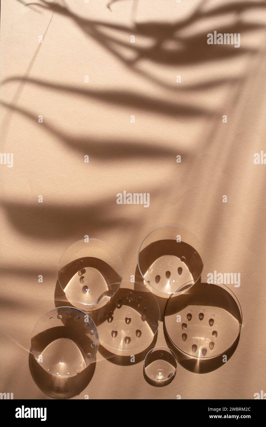 Refraction optical illusion distortion hi-res stock photography and ...