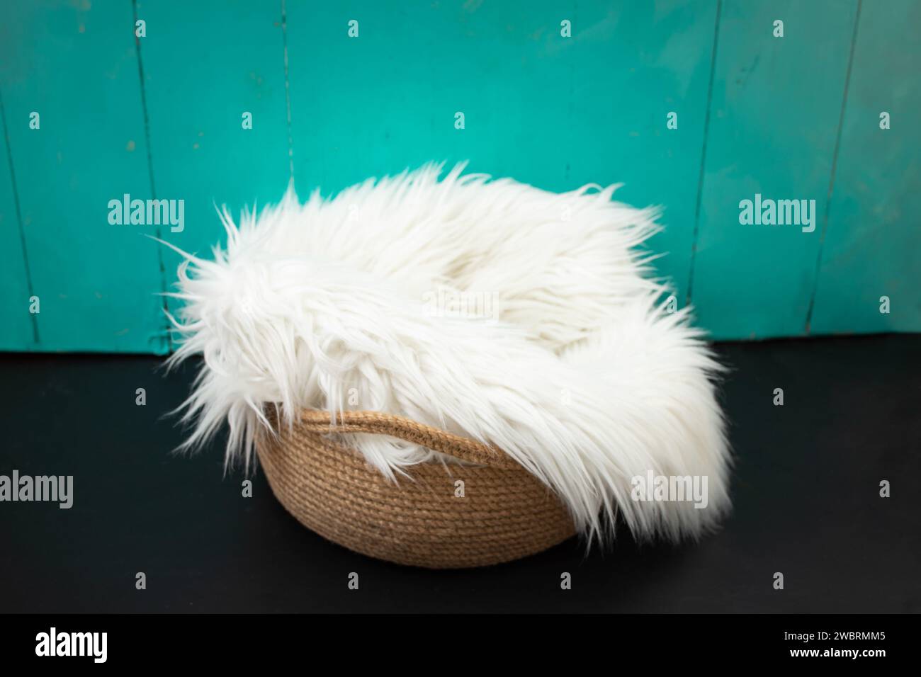 New born or baby portrait photography backdrop white fur on blue ...