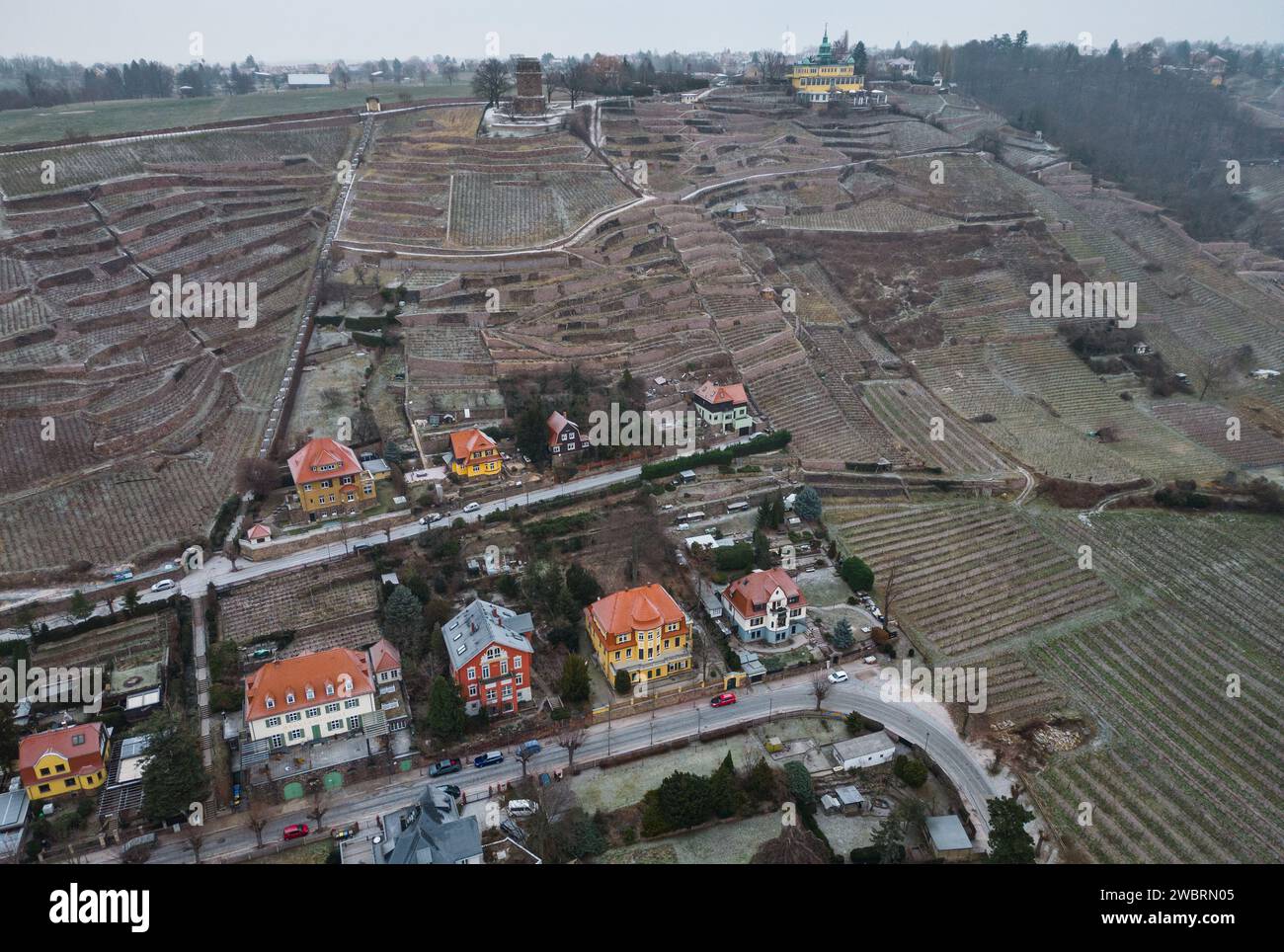 Radebeul, Germany. 12th Jan, 2024. View of the vineyards of Radebeul ...