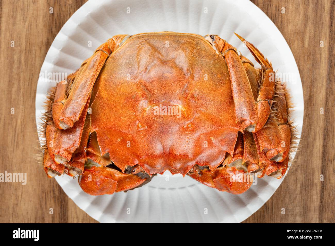 top view fresh cooked crab at horizontal composition Stock Photo - Alamy