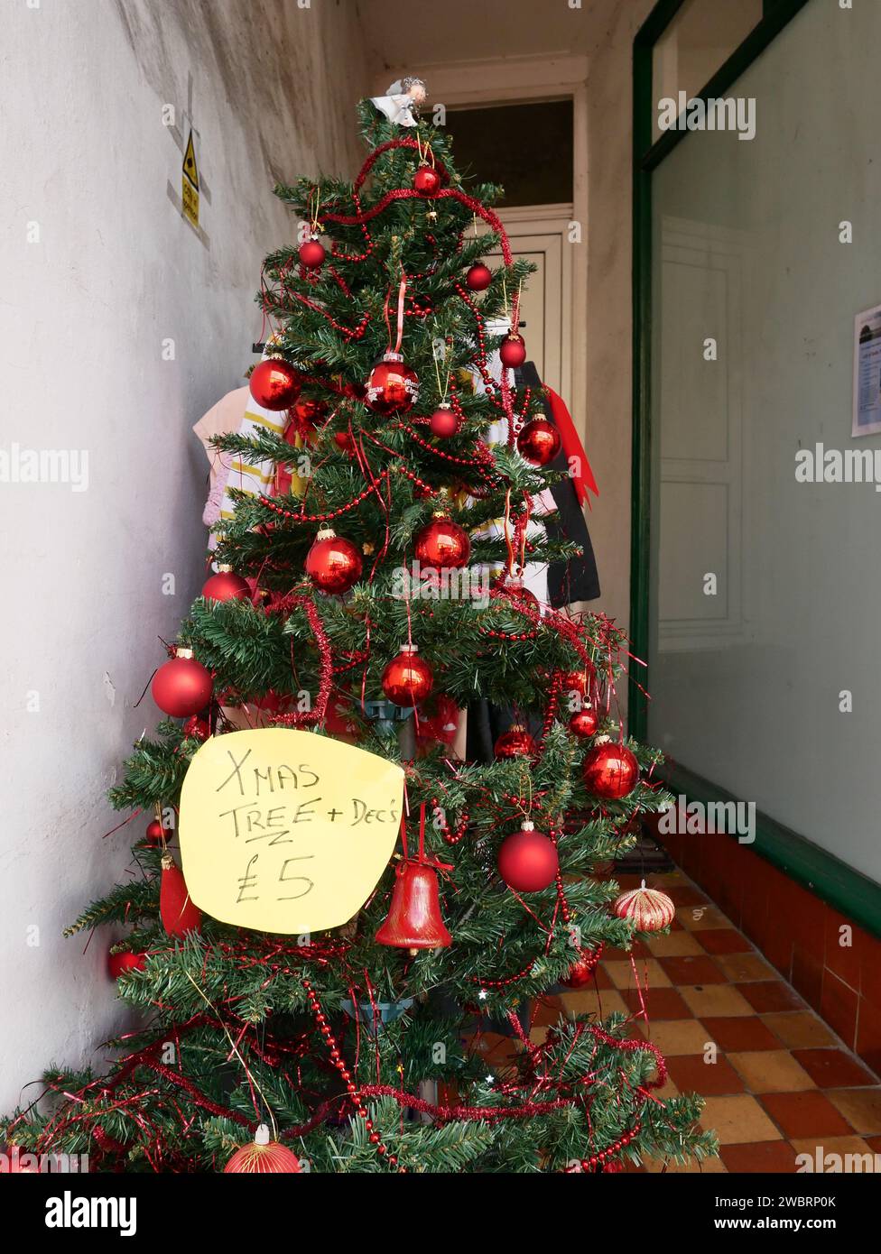 Budget tree hi-res stock photography and images - Alamy