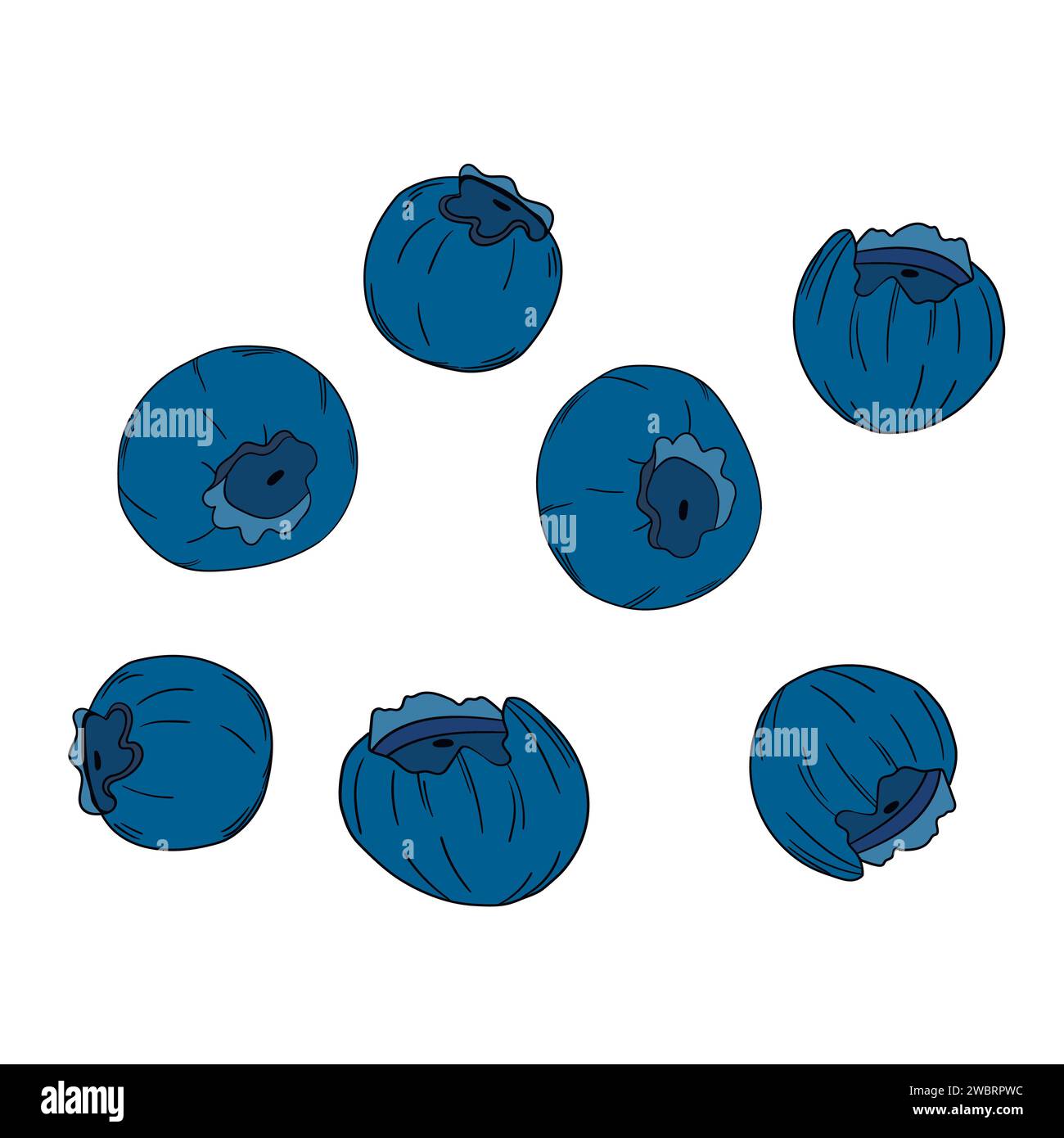 Blueberry set. Natural fresh ripe tasty blueberries. Vector ...