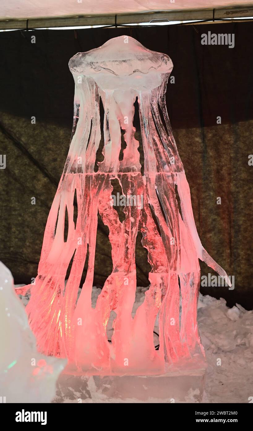 Prostredni Becva, Czech Republic. 12th Jan, 2024. Ice Sculpture carving ...