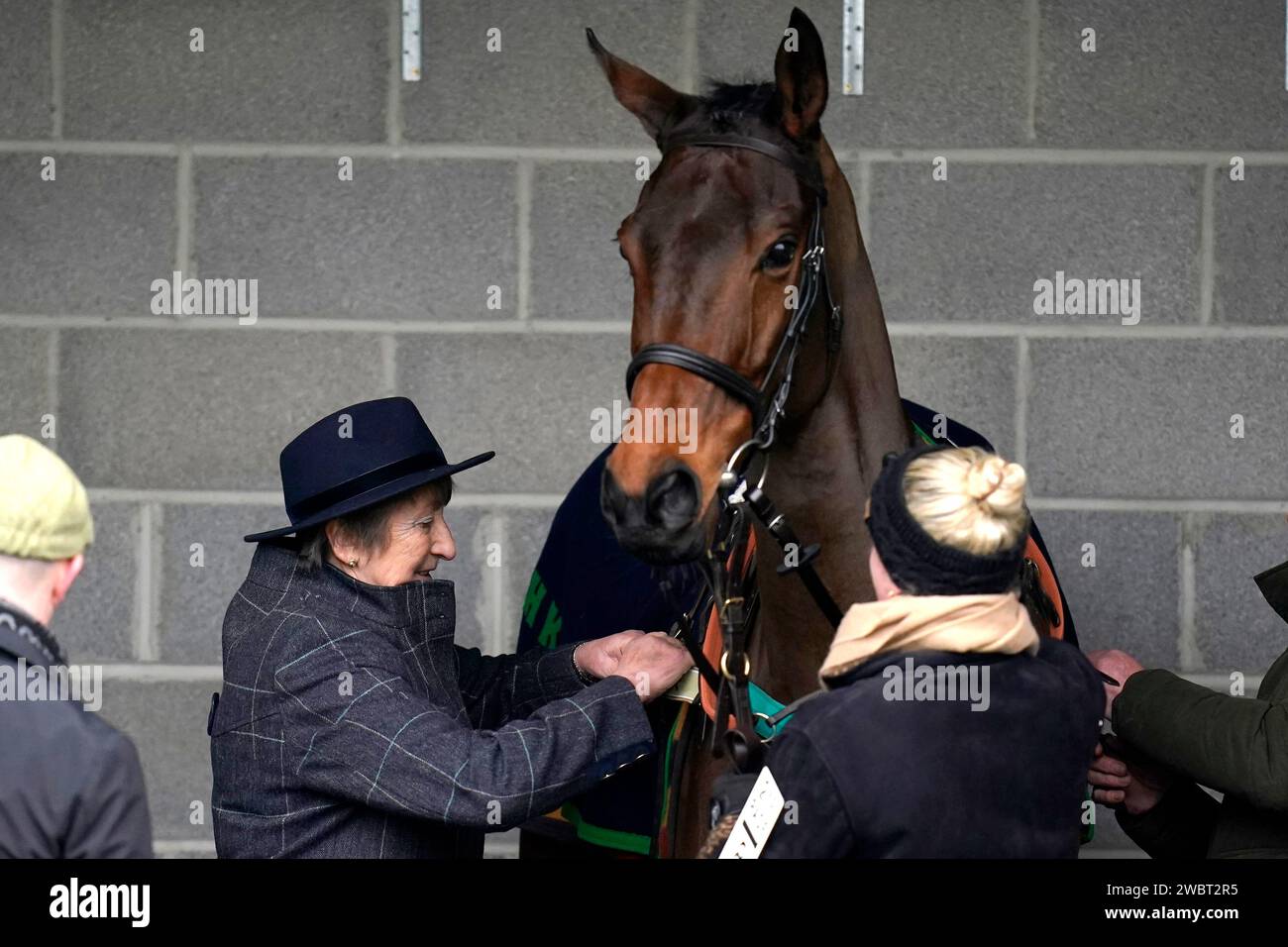 Trainer Henrietta Knight with horse Zettabyte ahead of the Start Your ...