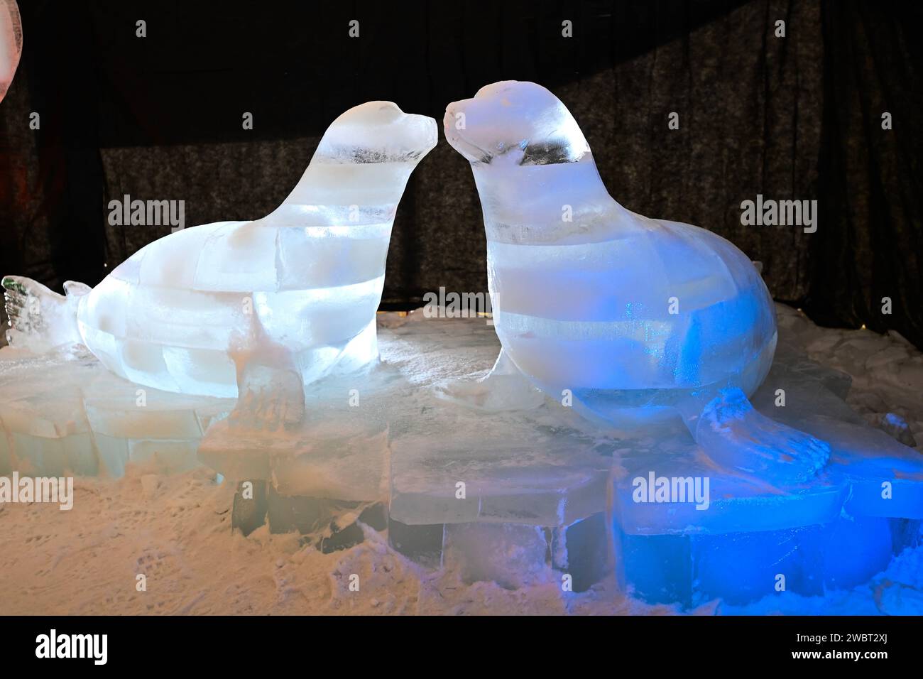 Prostredni Becva, Czech Republic. 12th Jan, 2024. Ice Sculpture carving ...