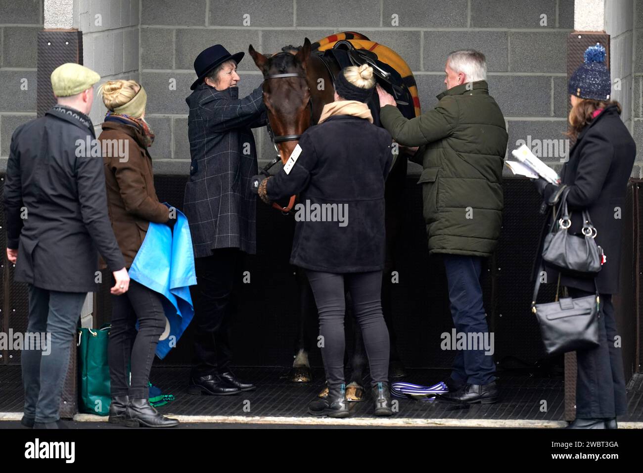 Trainer Henrietta Knight with horse Zettabyte ahead of the Start Your ...