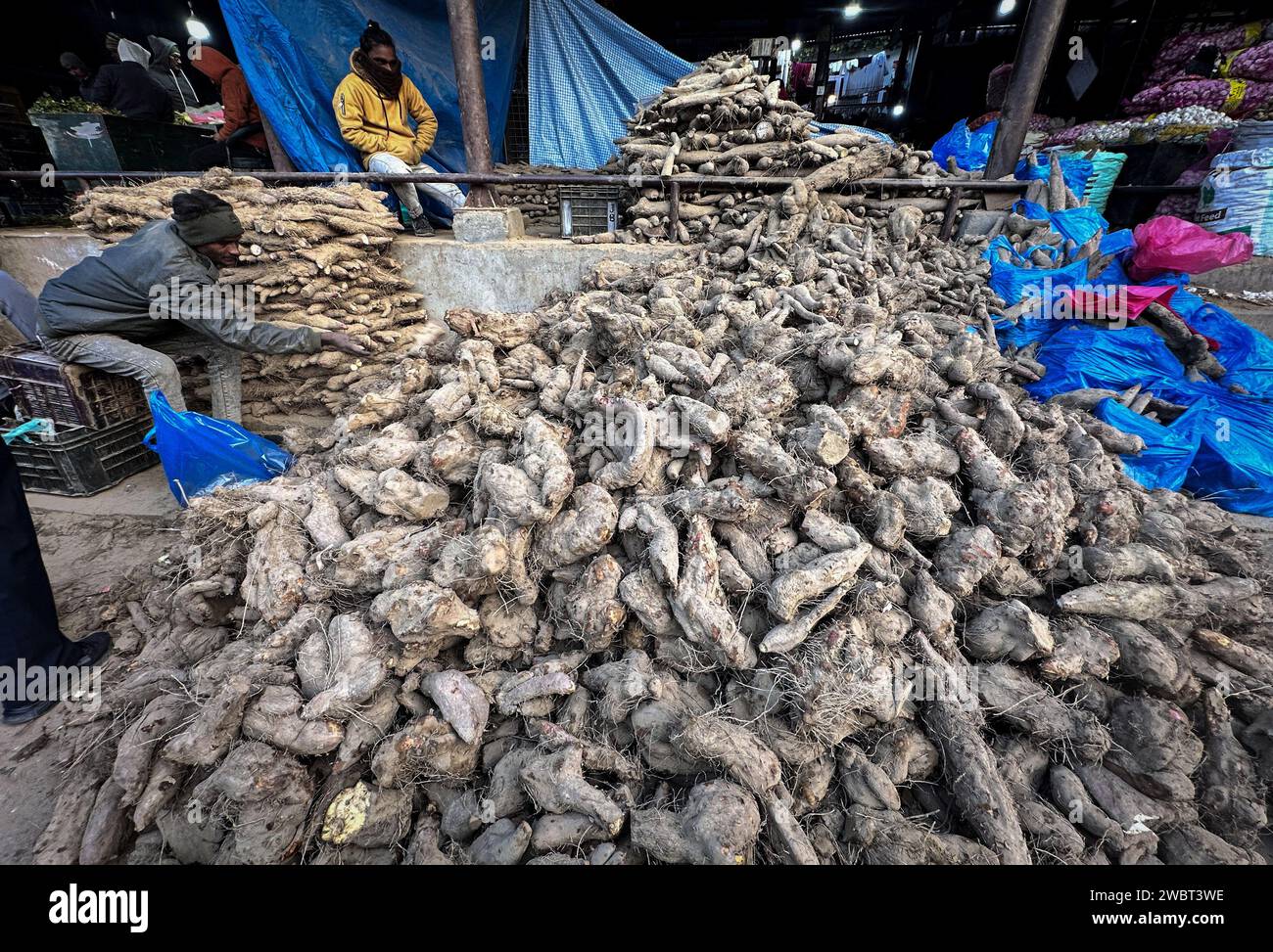 Kathmandu, Bagmati, Nepal. 12th Jan, 2024. Vendor sell yam, locally ...