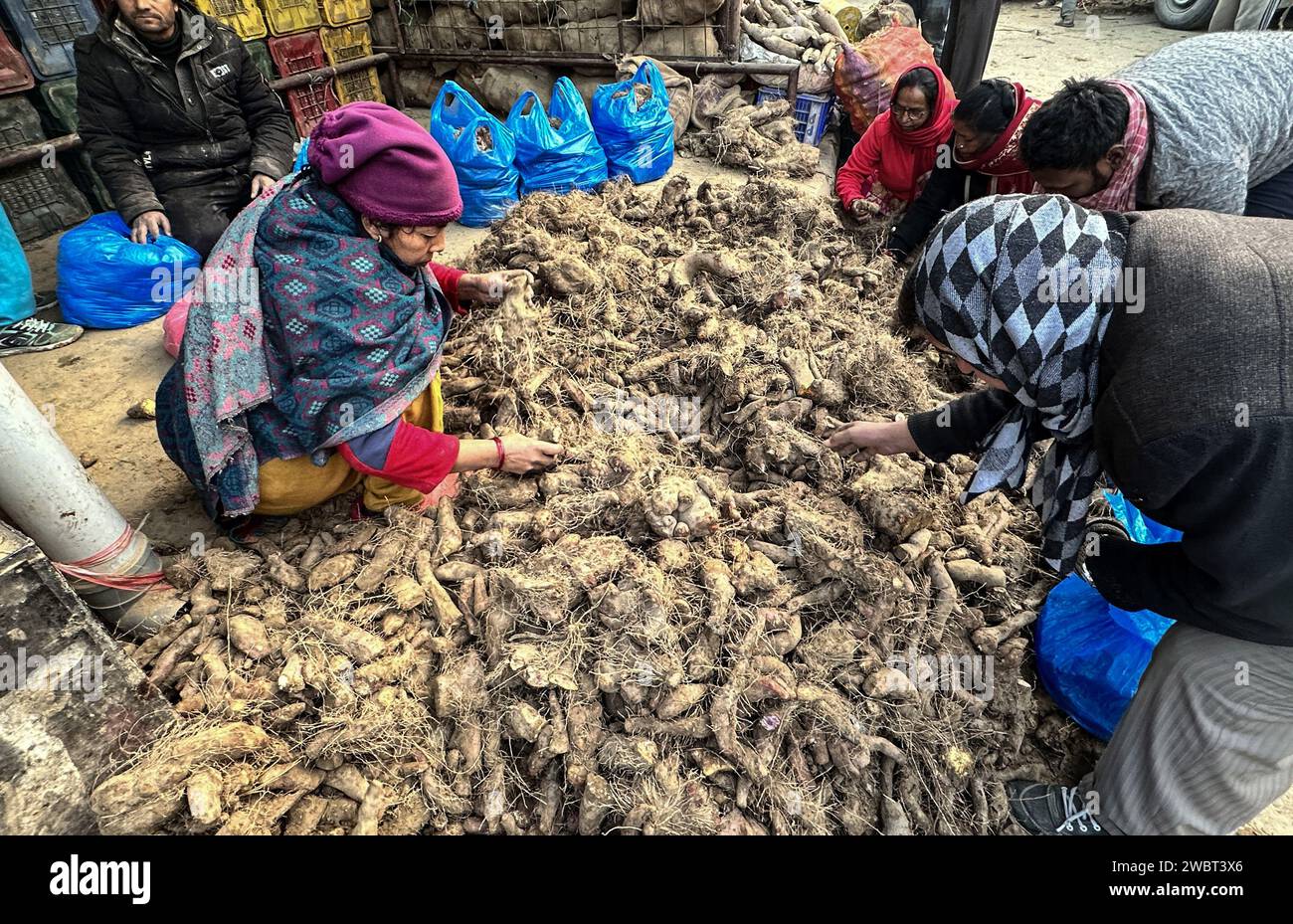 Tarul in nepali hi-res stock photography and images - Alamy