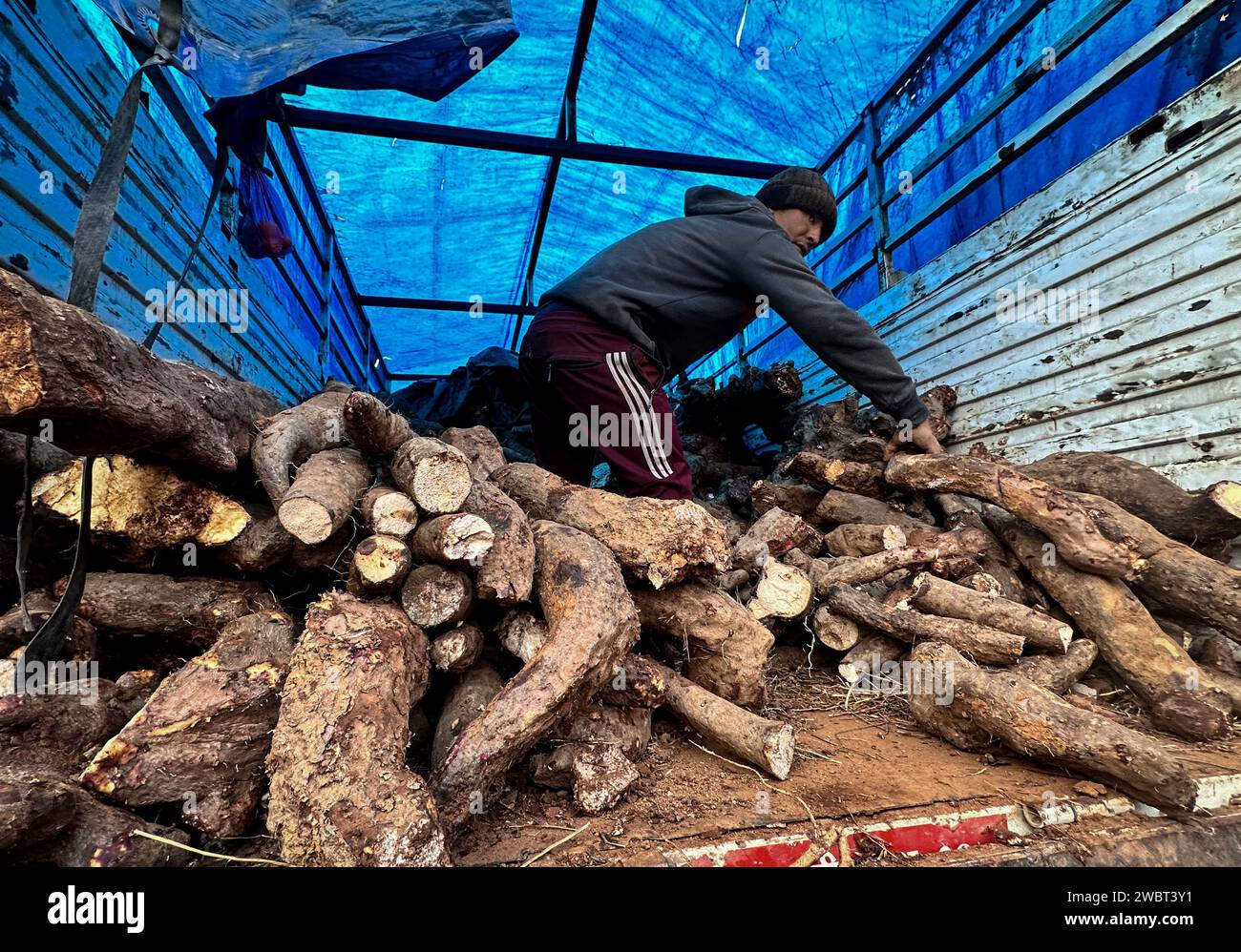 Tarul in nepali hi-res stock photography and images - Alamy