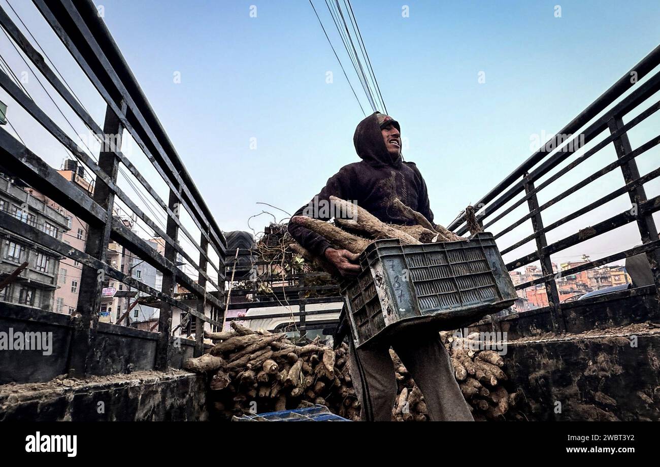 Kathmandu, Bagmati, Nepal. 12th Jan, 2024. A vendor carries yam ...
