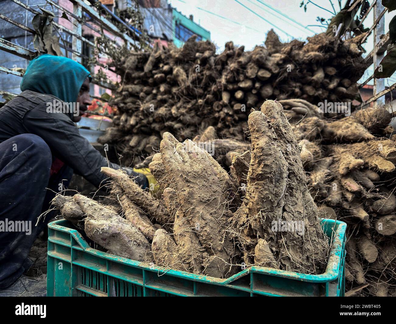 Tarul in nepali hi-res stock photography and images - Alamy