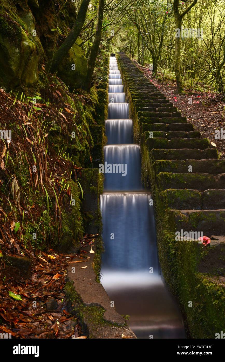Levada (agricultural water channel) and stone stairs rising up through ...