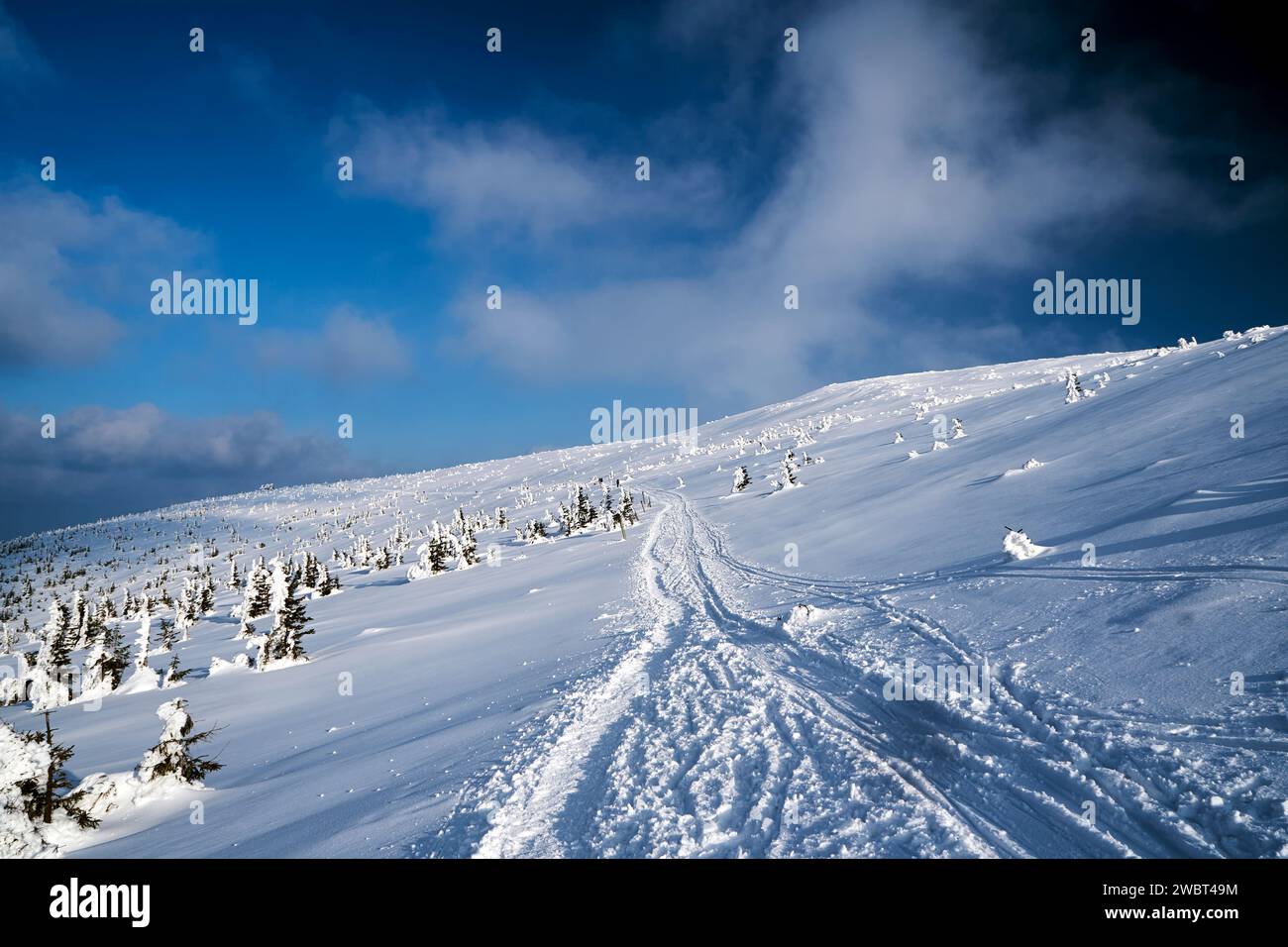 Snow-covered tourist trail in the Giant Mountains, Poland Stock Photo ...