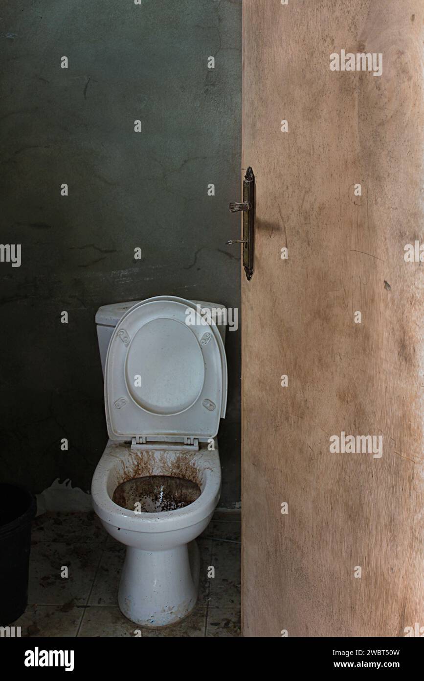 Disgusting toilet hi-res stock photography and images - Alamy