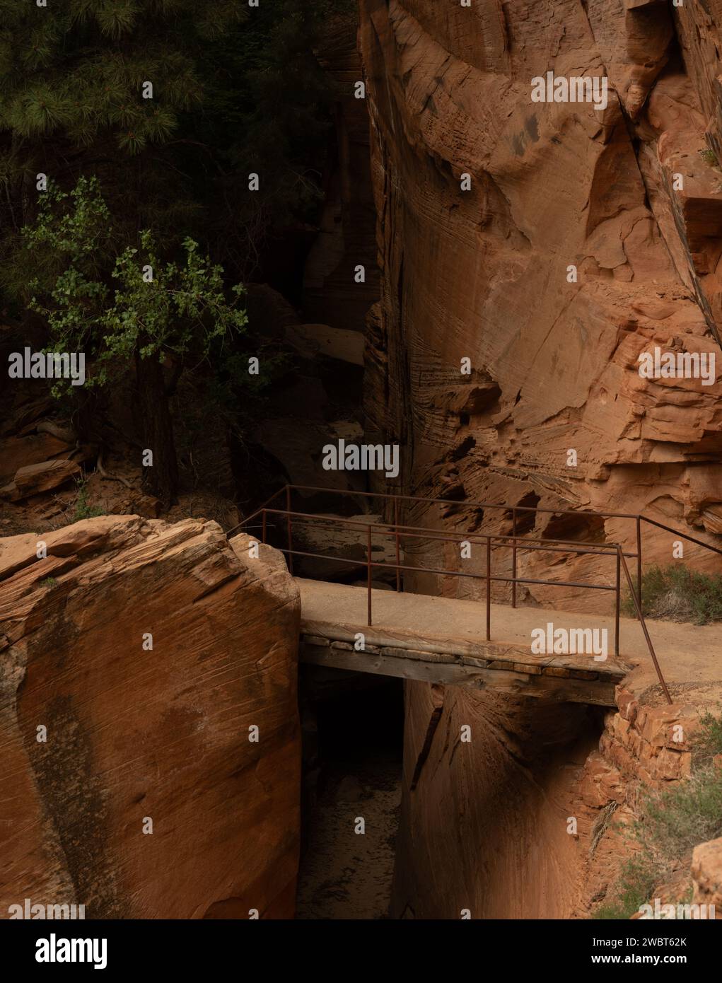 East rim trail zion hi-res stock photography and images - Alamy