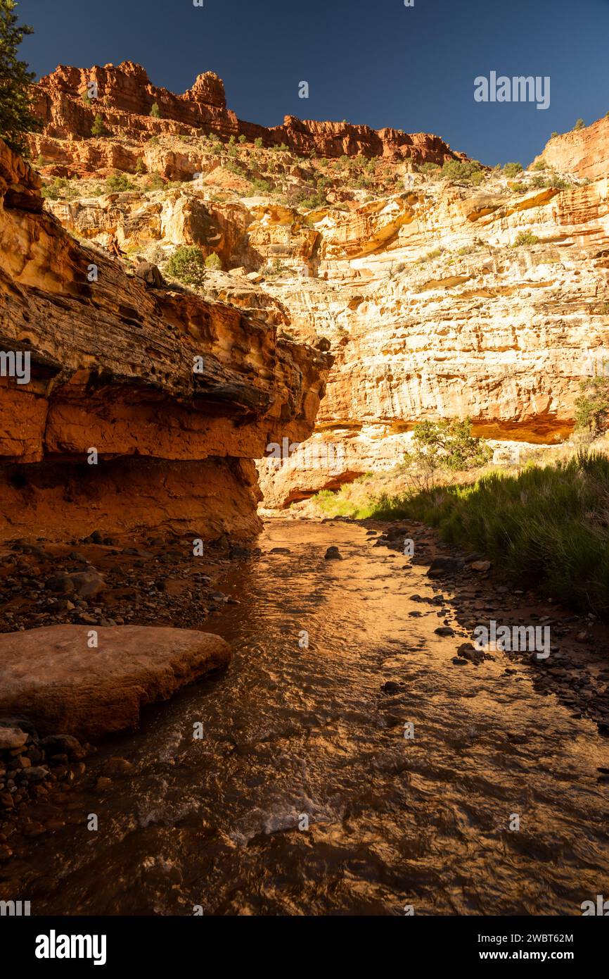Bright Cliff Reflects Into Sulfur Creek Emerging From Shadow in Capitol ...