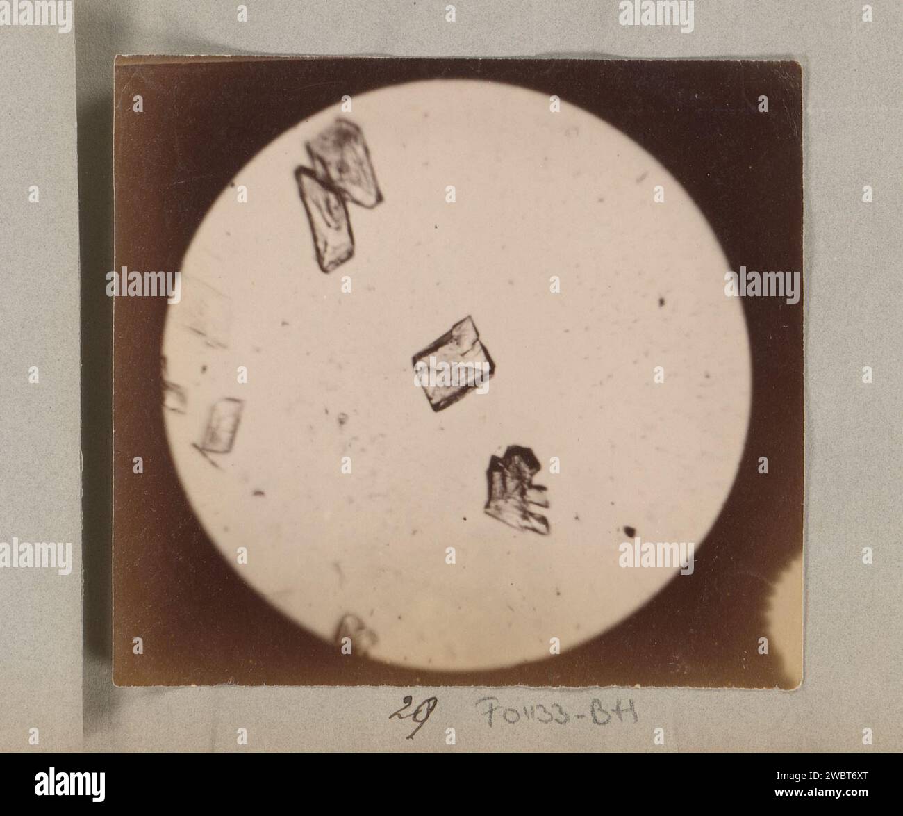 Microscopic recording of crystals, enlarged sixty times, Marinus Pieter ...