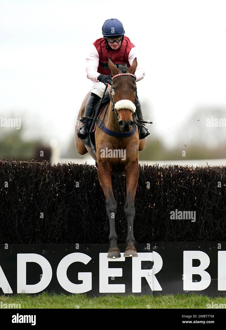 Wincanton ampics hi-res stock photography and images - Alamy