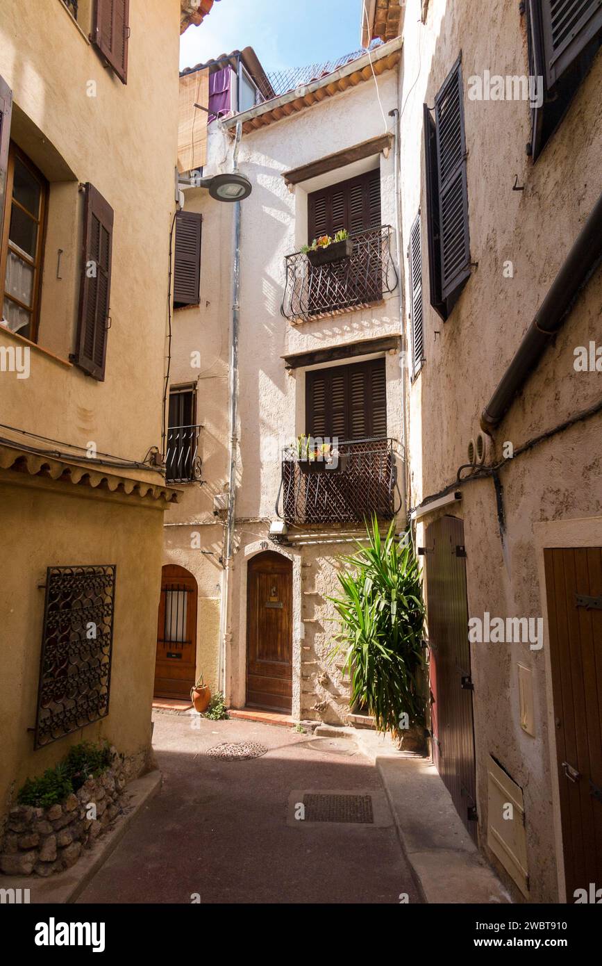Typical residential small and narrow street with shade / quiet shaded ...