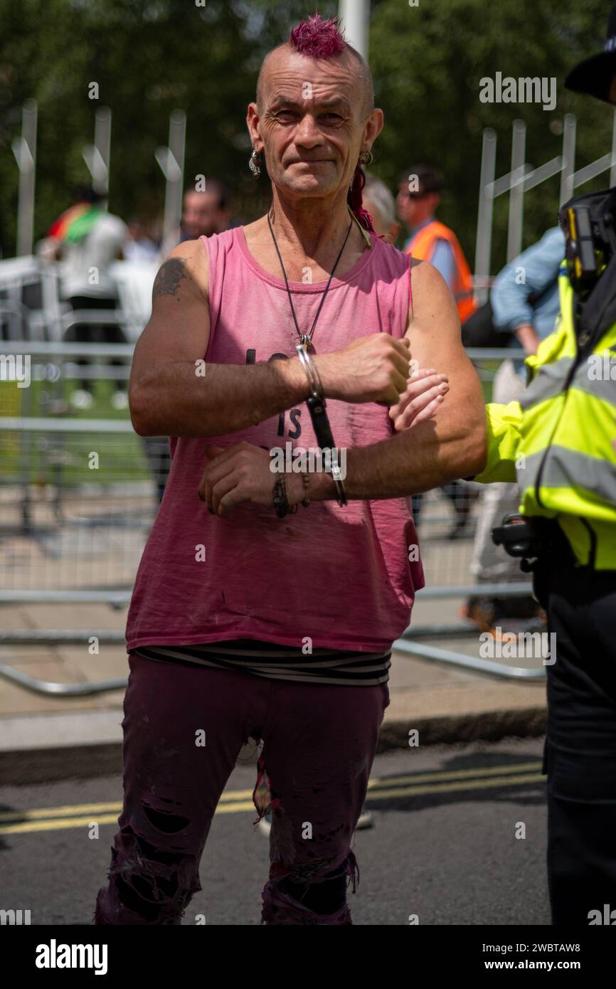London, United Kingdom, July 19 2023: Just Stop Oil activist arrested ...