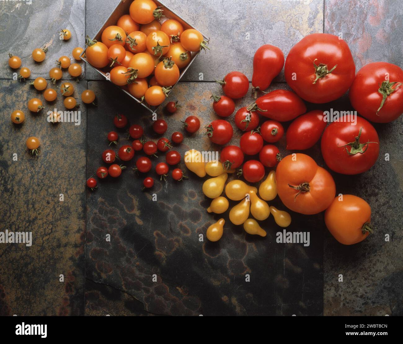 Varieties of vine ripe cherry tomatoes on dark background hi-res stock photography and images ...