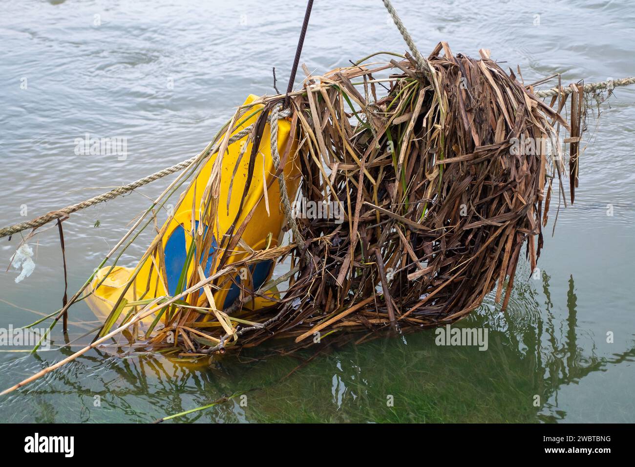 Cookham, UK. 6th January, 2024. The aftermath of flooding on the River ...