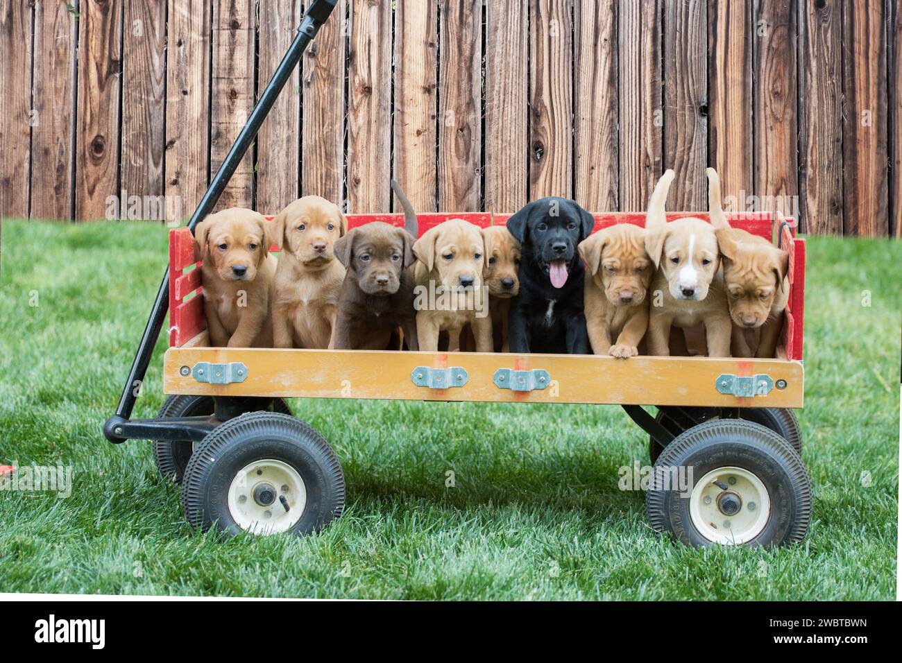 Delivery mates hi-res stock photography and images - Alamy