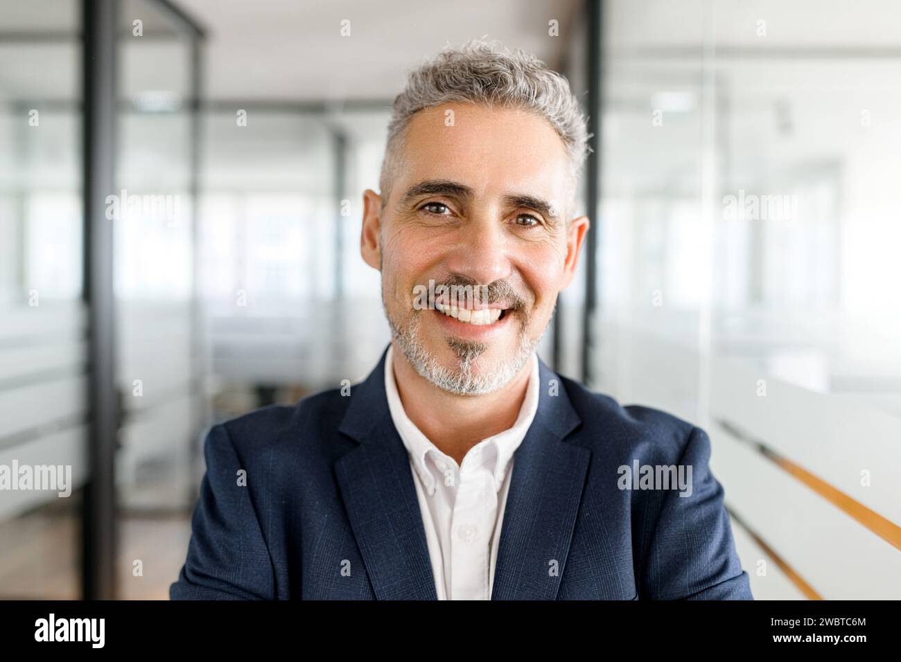 Close-up portrait of confident mature grey-haired 50s male employee ...