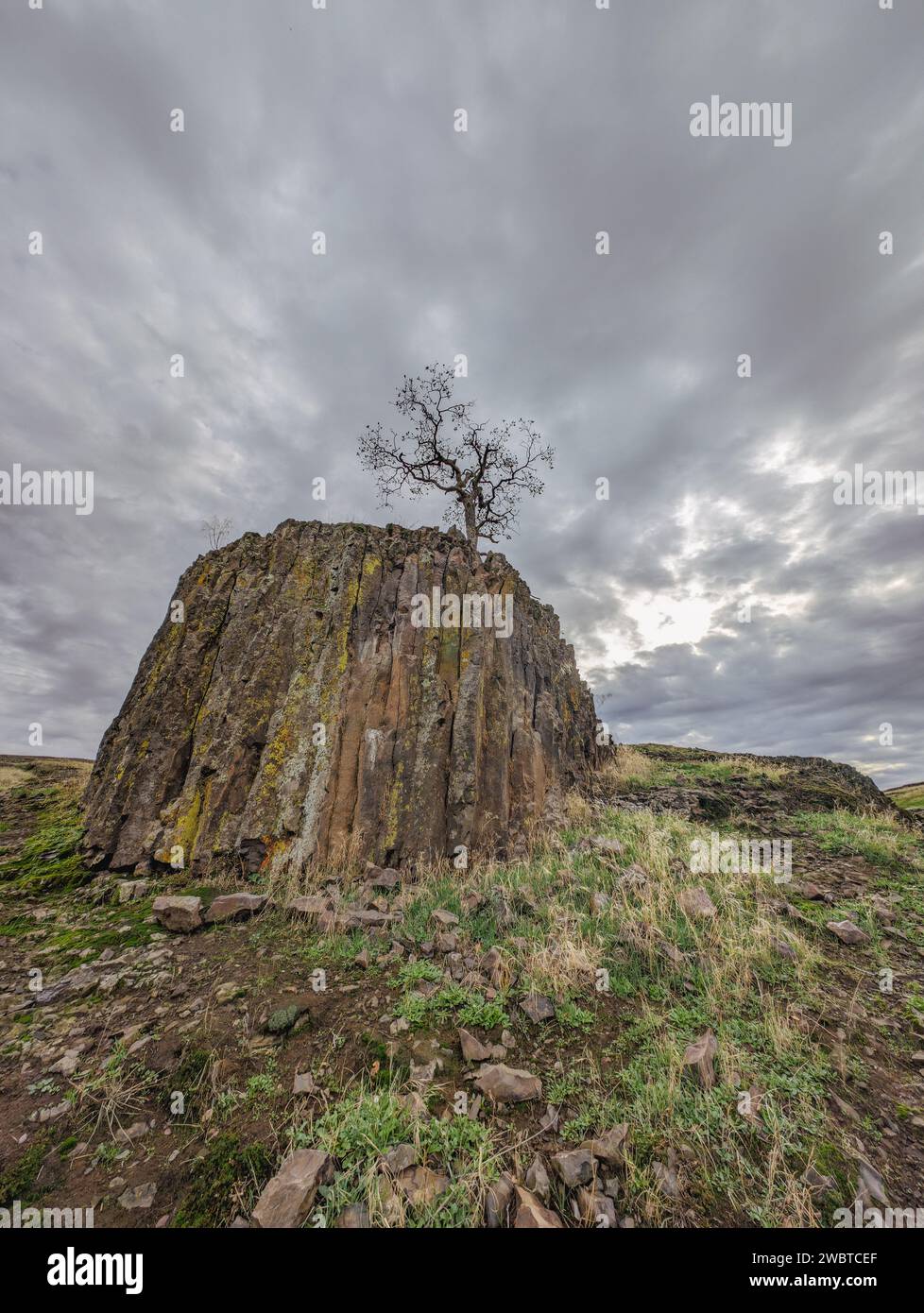 A unique rock formation in a nature reserve near Oroville, California ...
