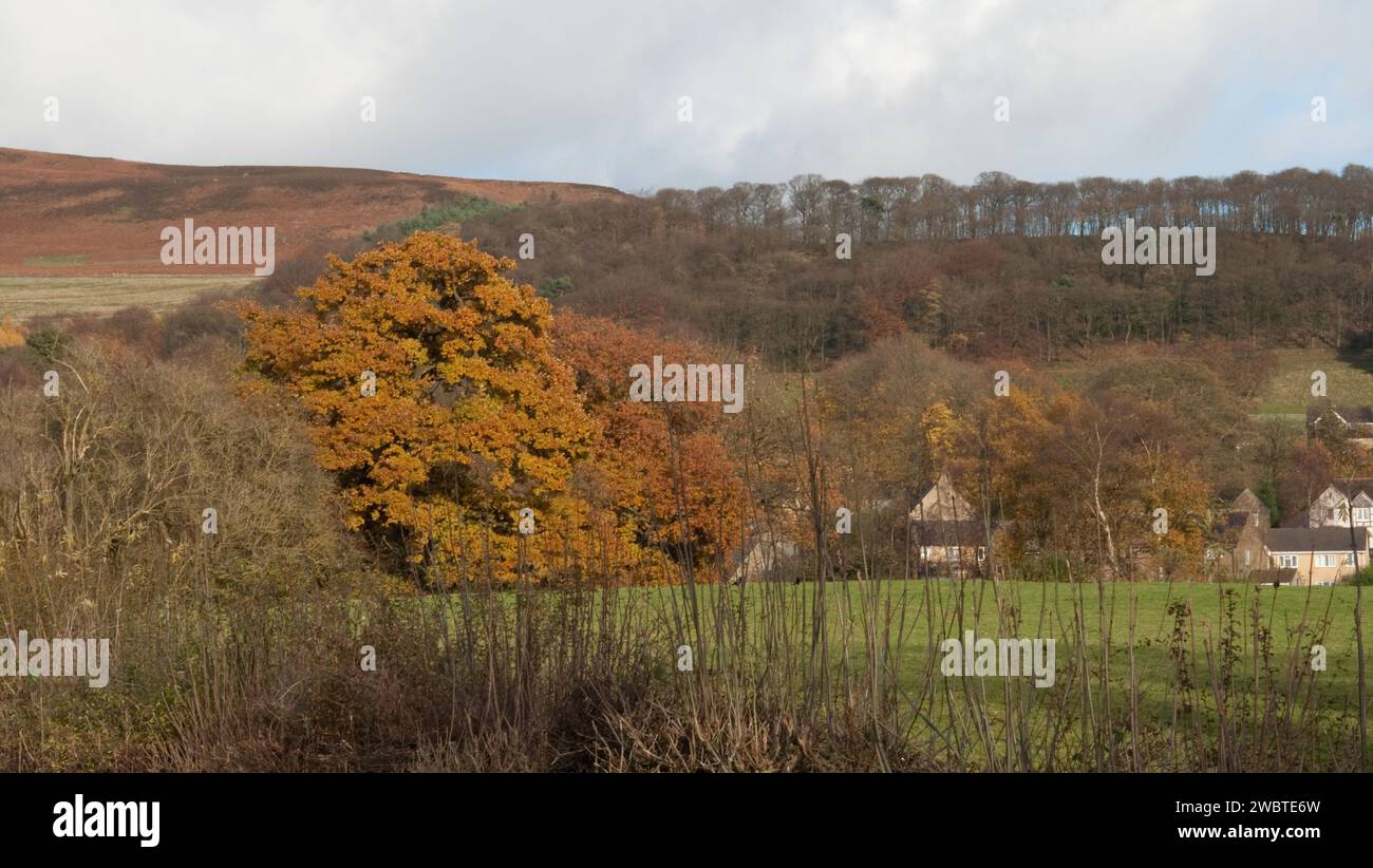 Rural scene, Bamford, Derbyshire, UK, fields, hills, trees, houses ...