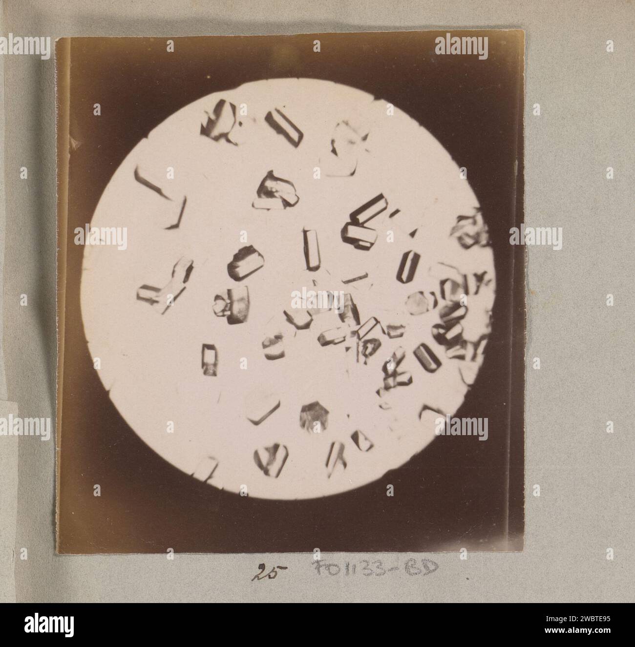 Microscopic intake of boric acid crystals, 35 times enlarged, Marinus ...