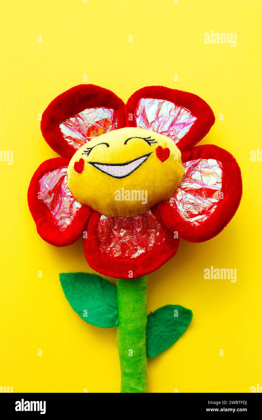 Beautiful and colorful smiling plush flower Stock Photo - Alamy