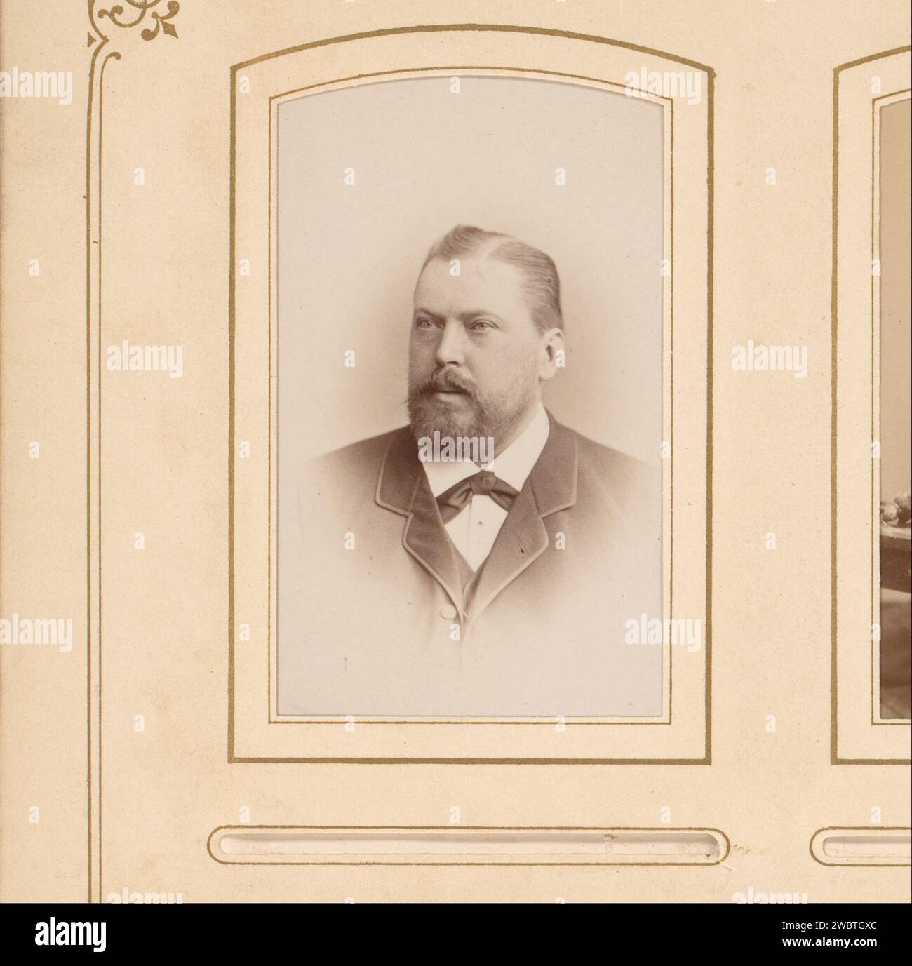 Portrait of a man, Emil Tiedemann, 1880 - 1892 Photograph. visit card ...