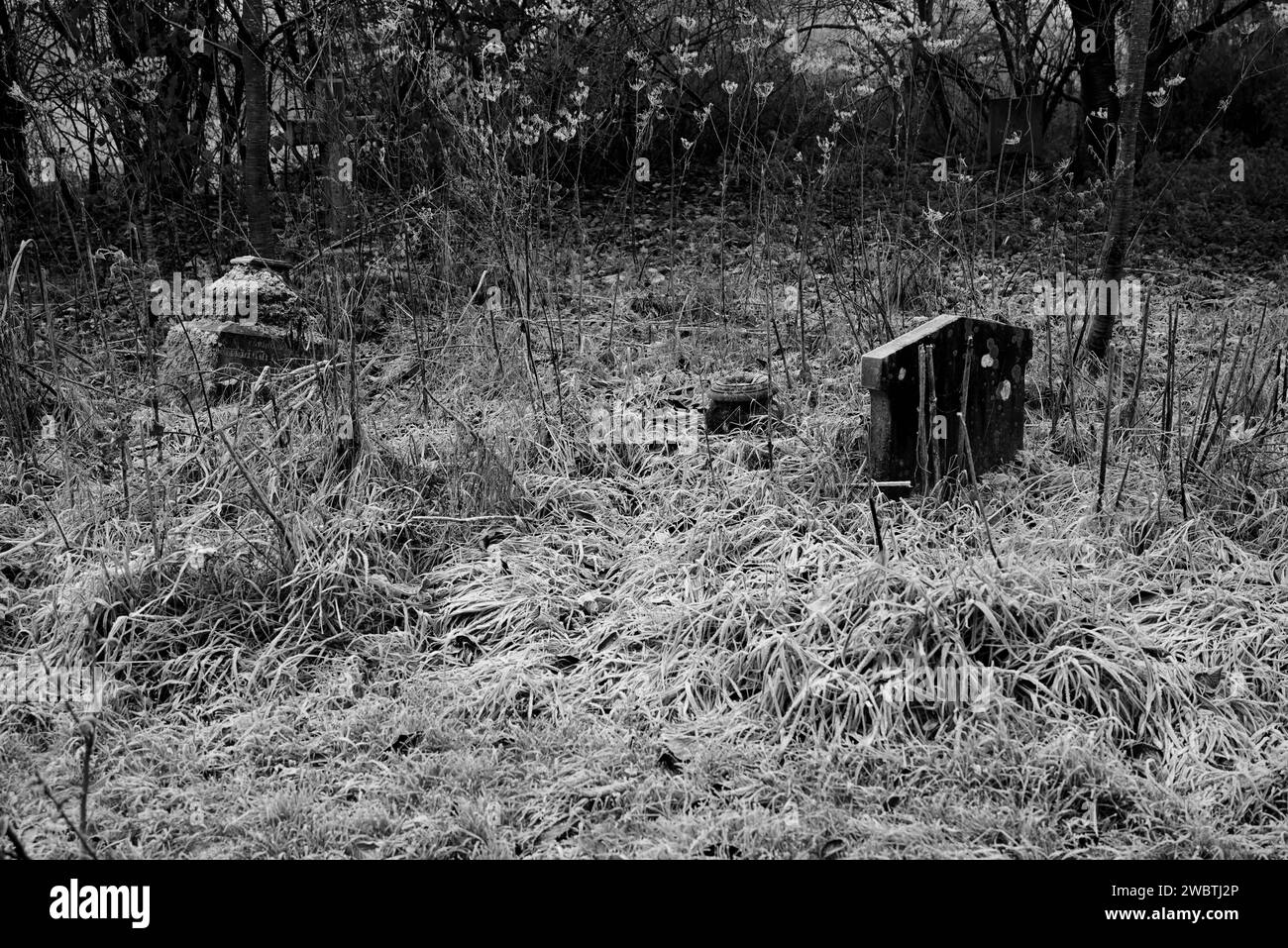 A frosty morning in the graveyard at the Church of the Nativity of the ...
