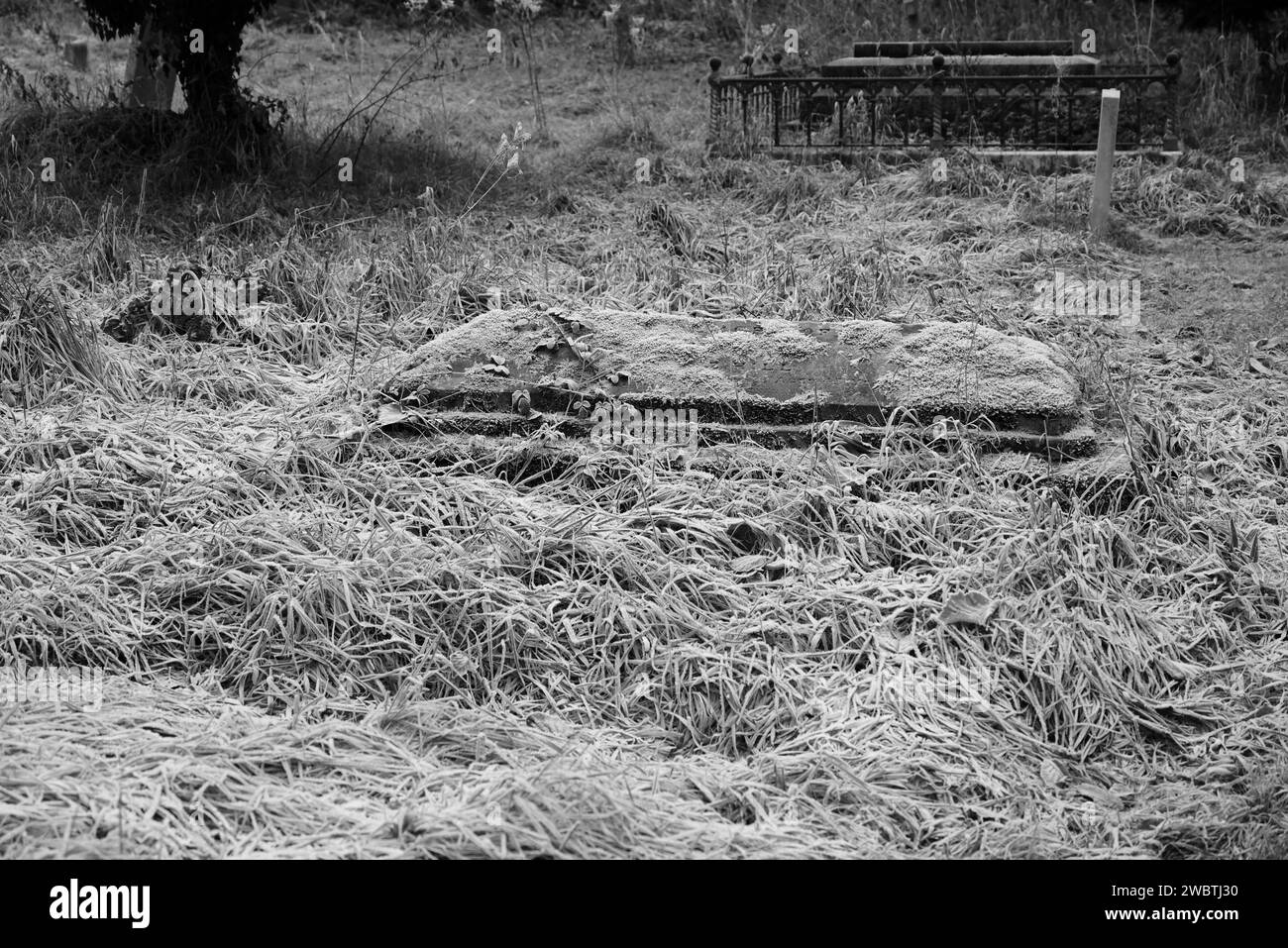 A frosty morning in the graveyard at the Church of the Nativity of the ...