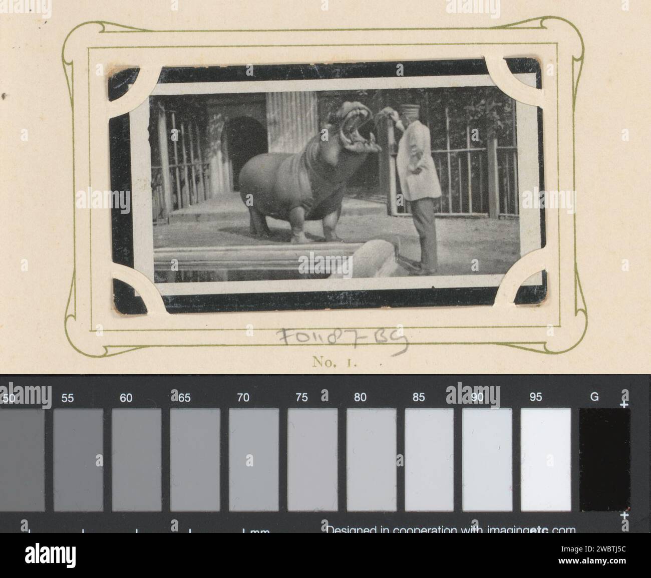 Man conducts a hippo, Anonymous, 1905 - 1906 photomechanical print This ...