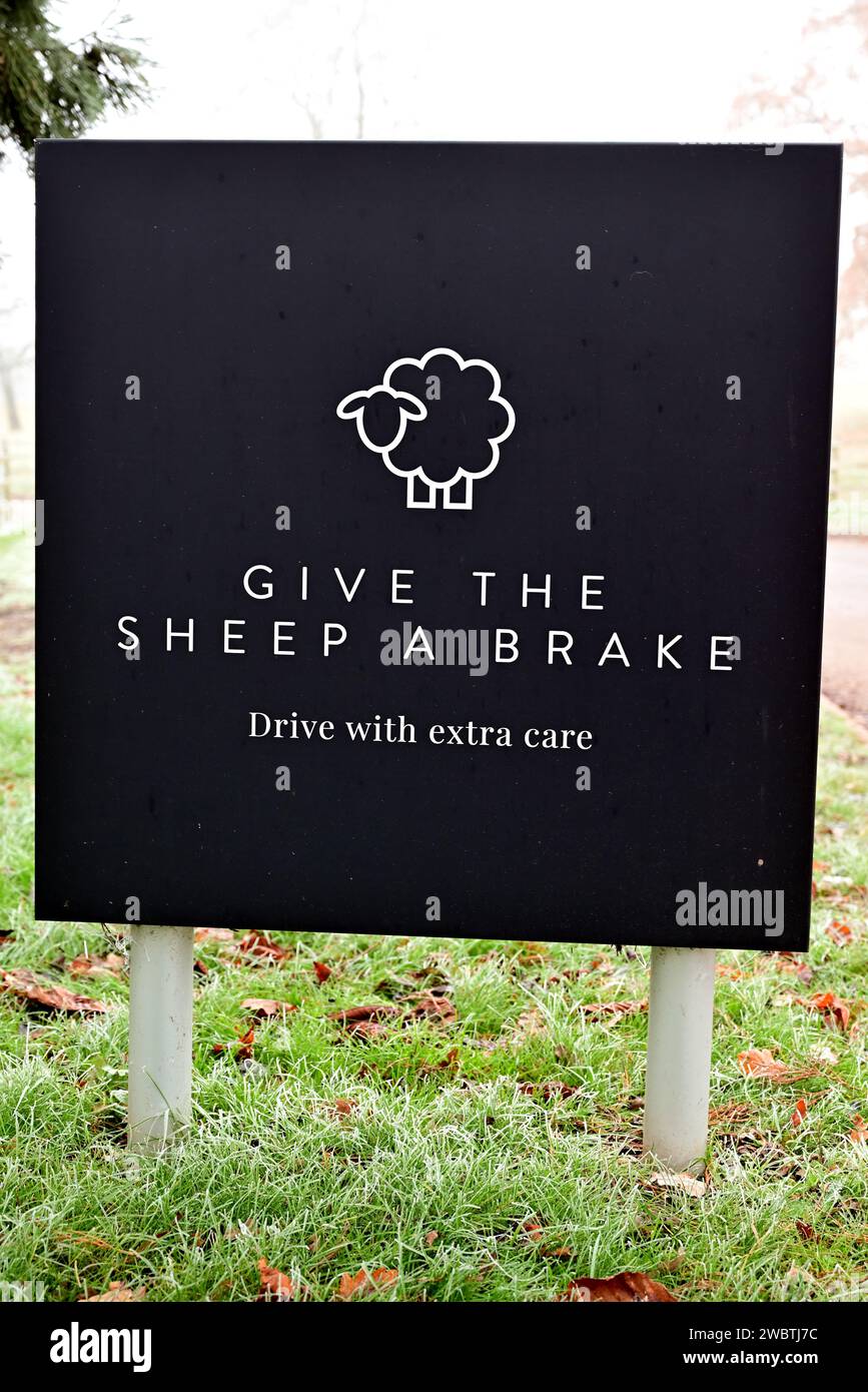 Sheep grazing sign hi-res stock photography and images - Alamy