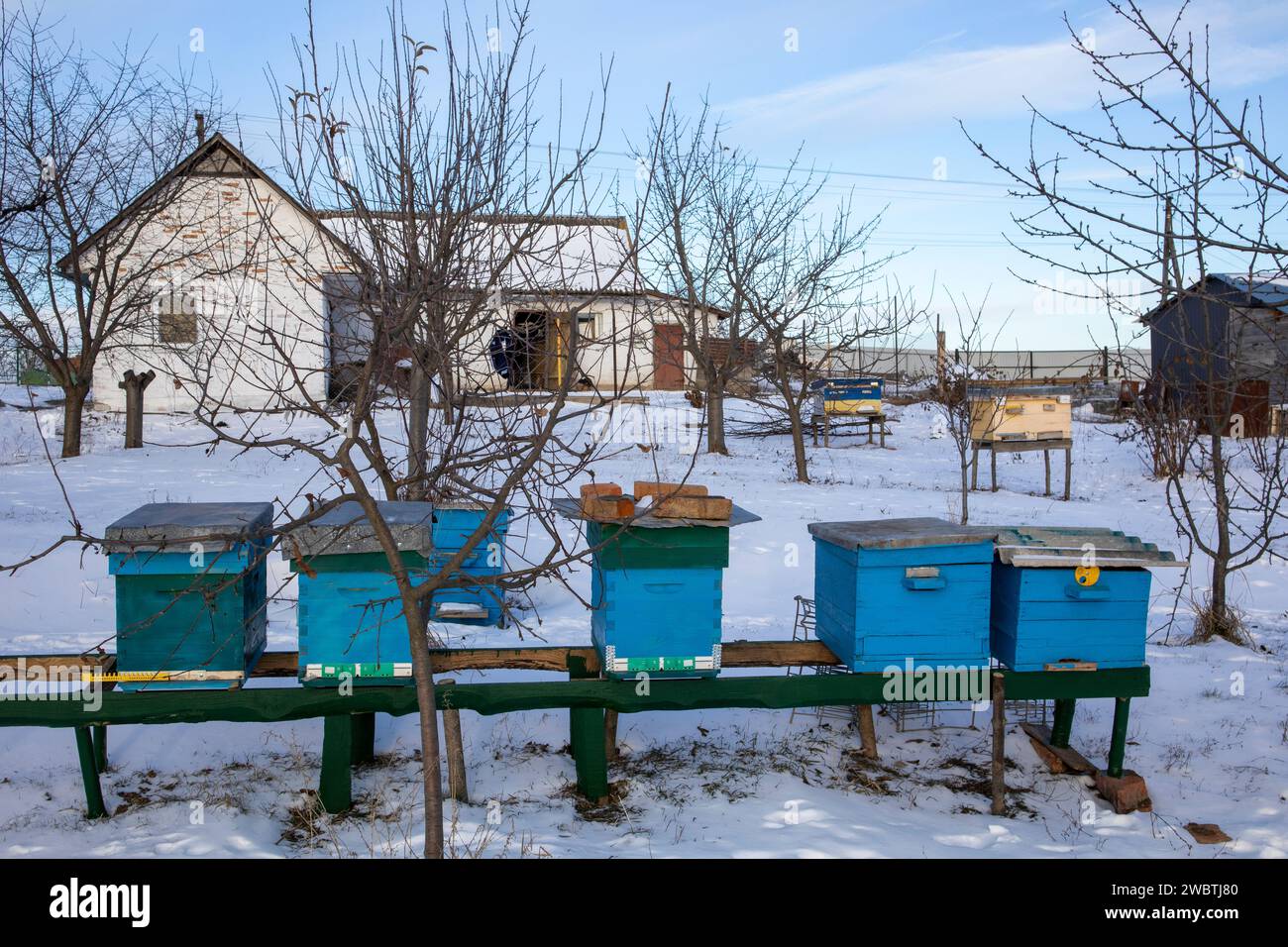 Rural small apiary in winter. Beehives are installed in the garden ...