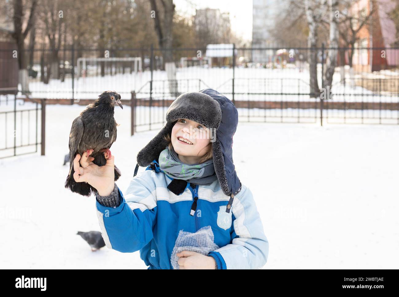 cute little boy holds a wild pigeon on his hand on a winter day. A ...