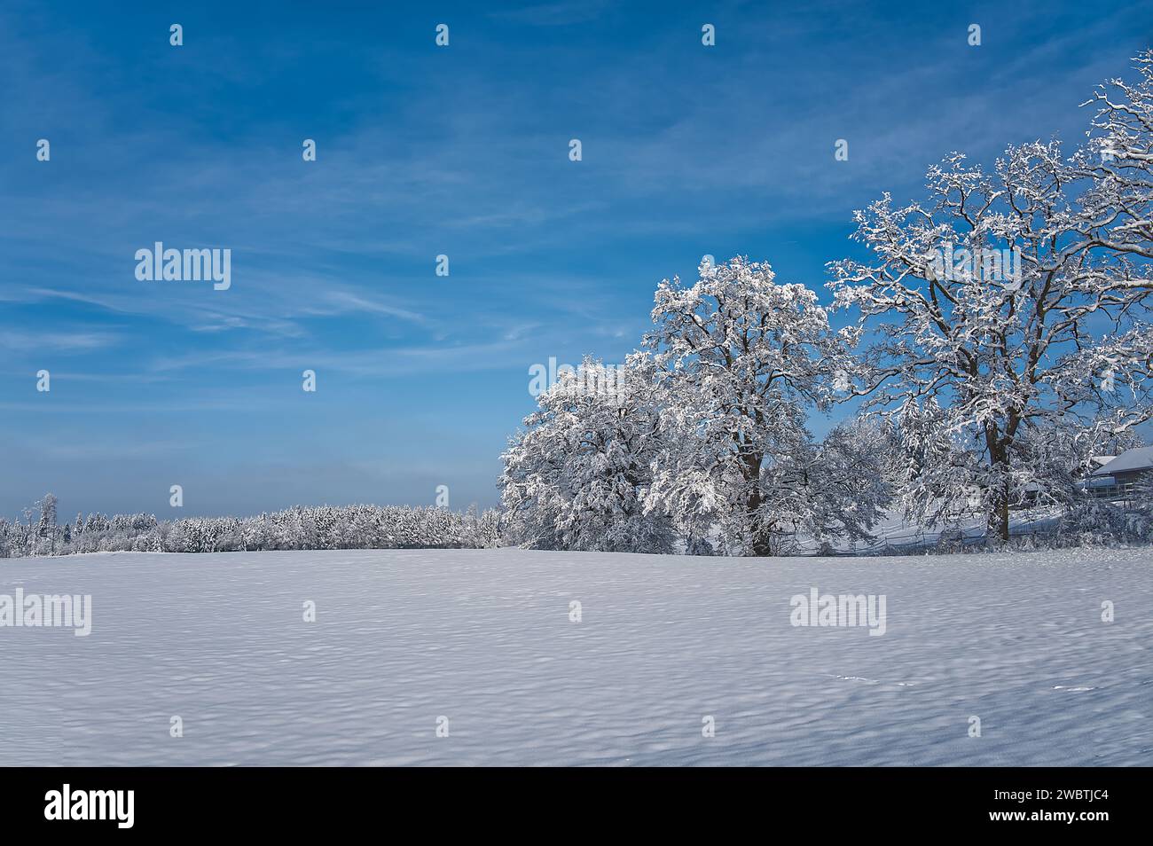 White snowed winter landscape with farmland and forest under the clear ...