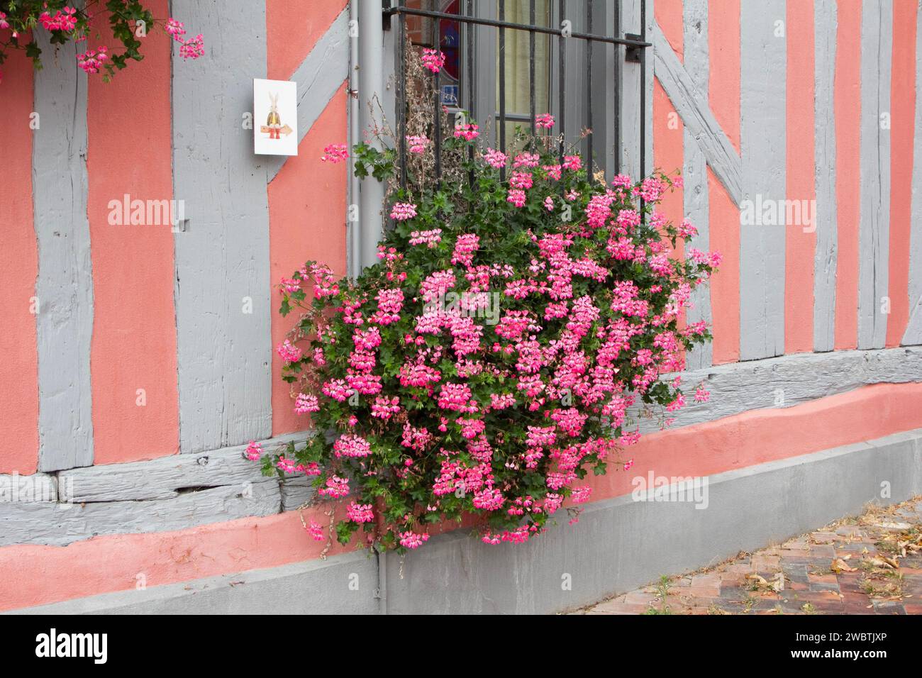 The pink-themed town-hall in a half-timbered building in Mesnil-Saint ...