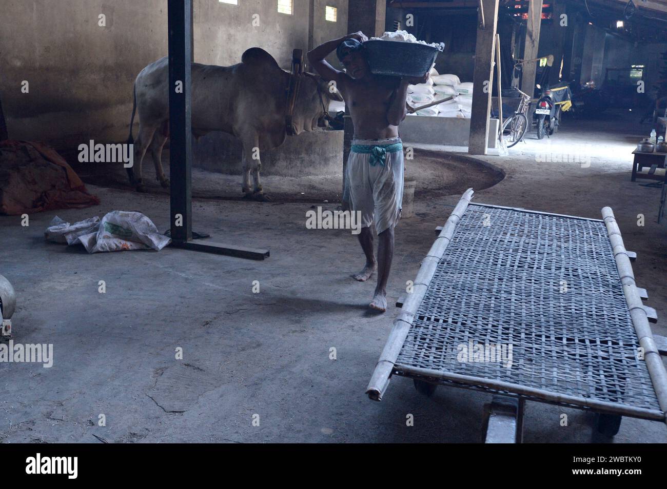 Bantul, Yogyakarta, Indonesia. 10th Jan, 2024. Workers produce noodles ...