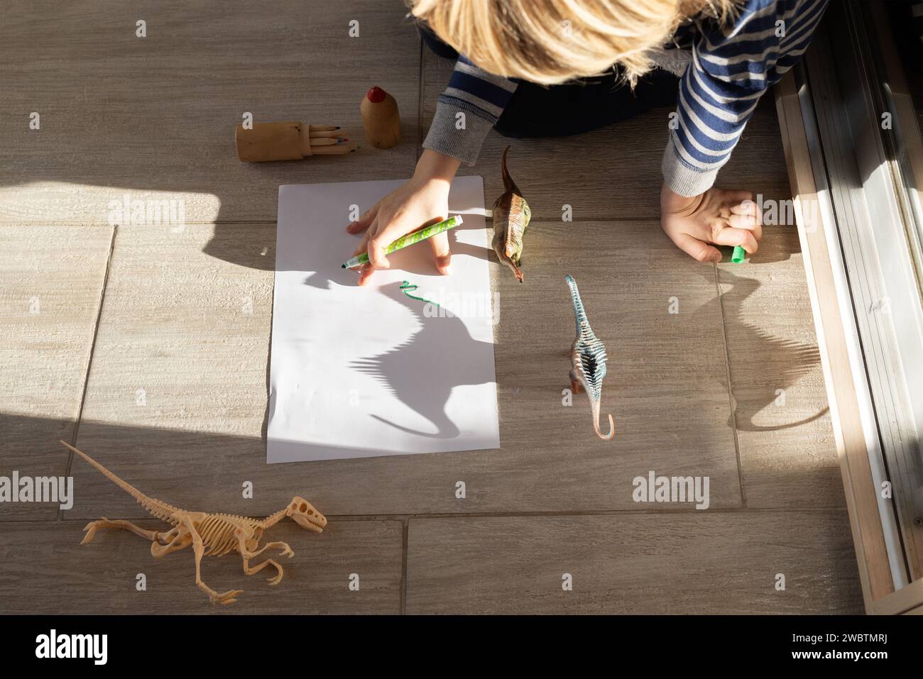 Jurassic paper hi-res stock photography and images - Alamy