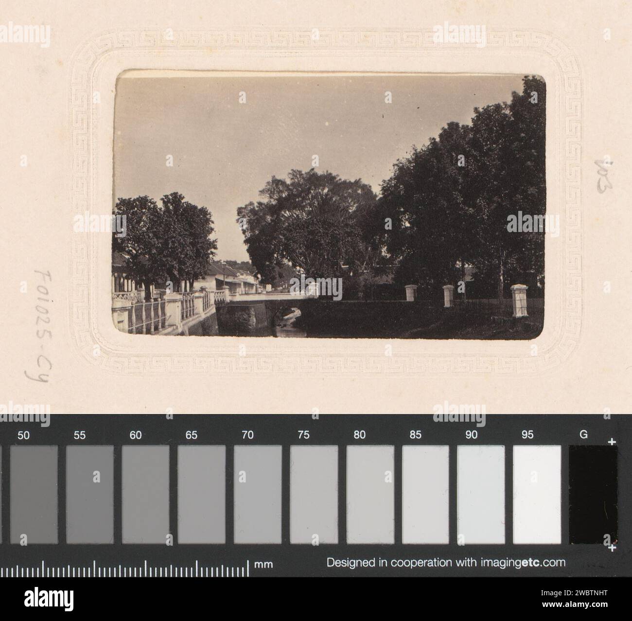 Laan with canal in Batavia, Woodbury & Page, 1857 - 1880 Photograph ...