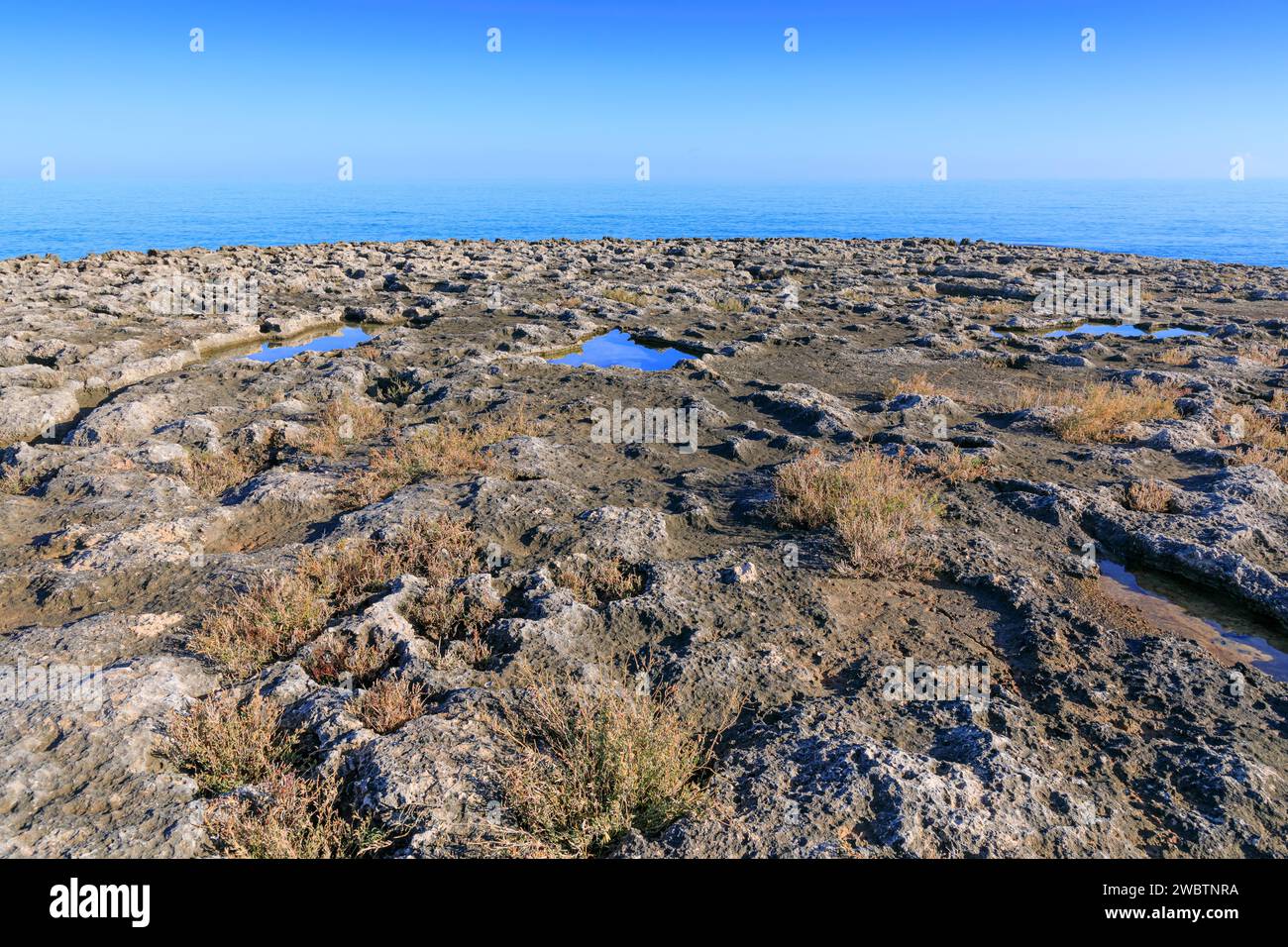 Monopoli coast hi-res stock photography and images - Alamy