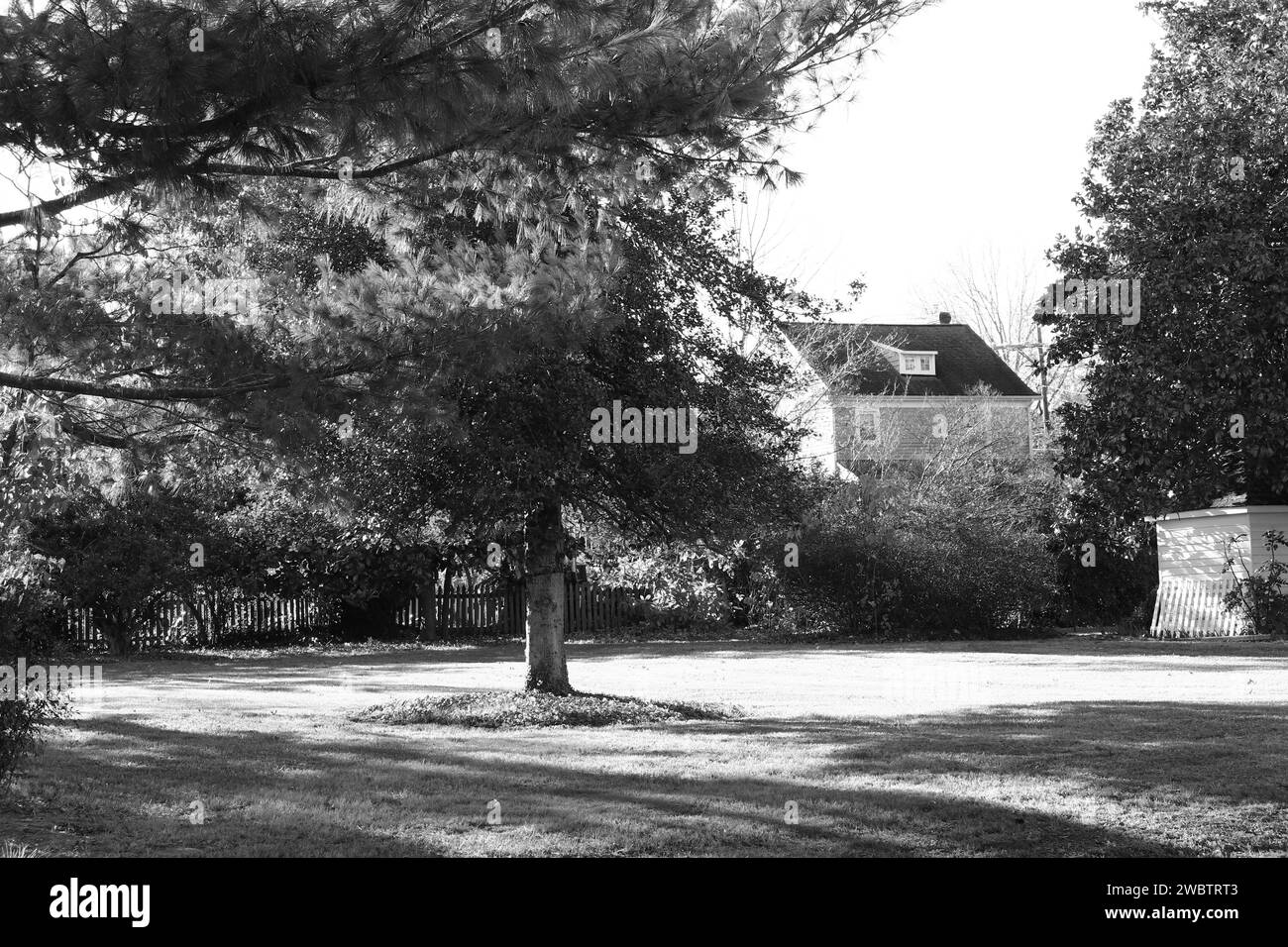 Landscape Scene of Trees and Lawn With a House in Background Stock ...