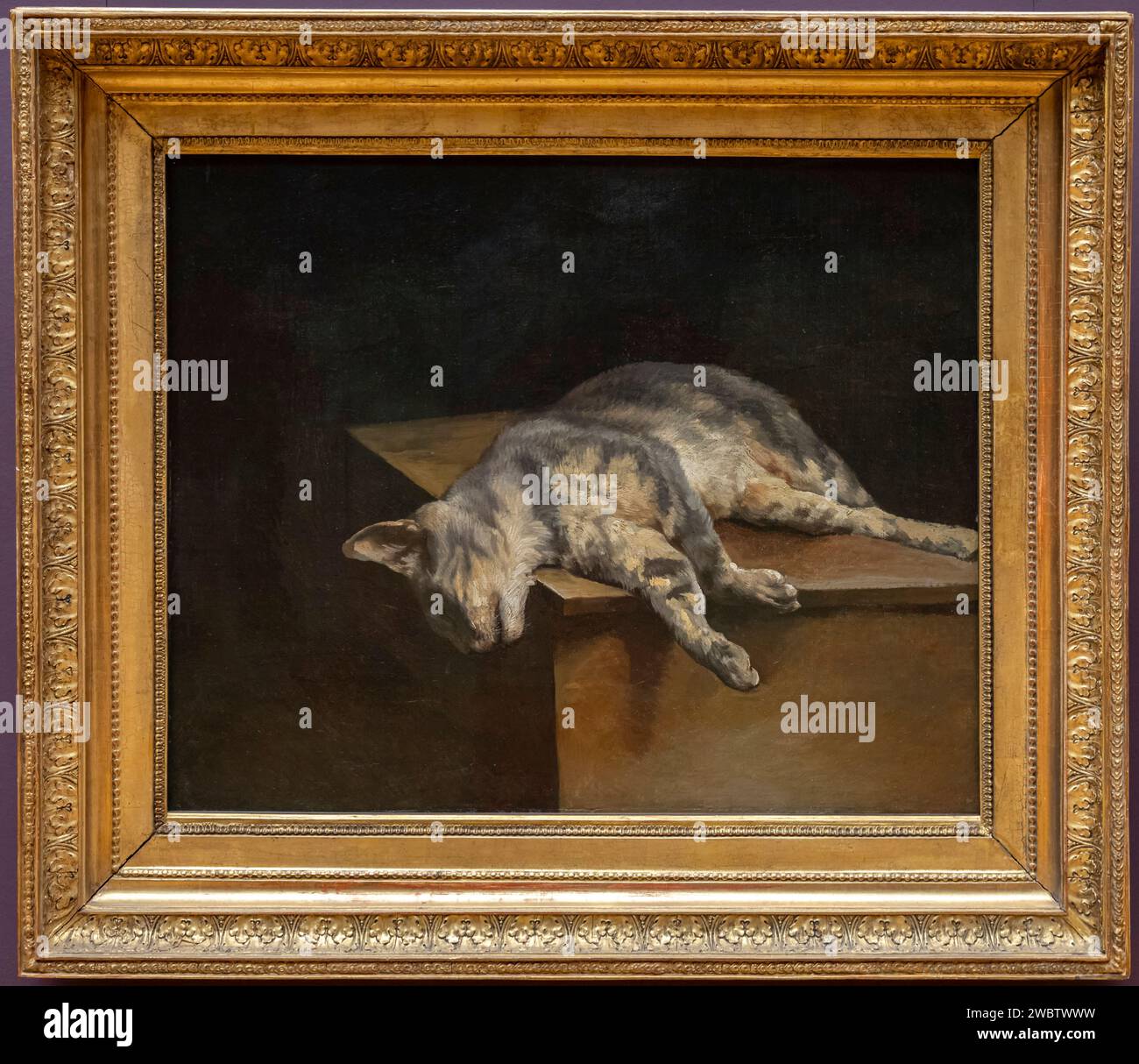 Paris, France - 01 06 2024: Louvre Museum. The Dead Cat painted by ...